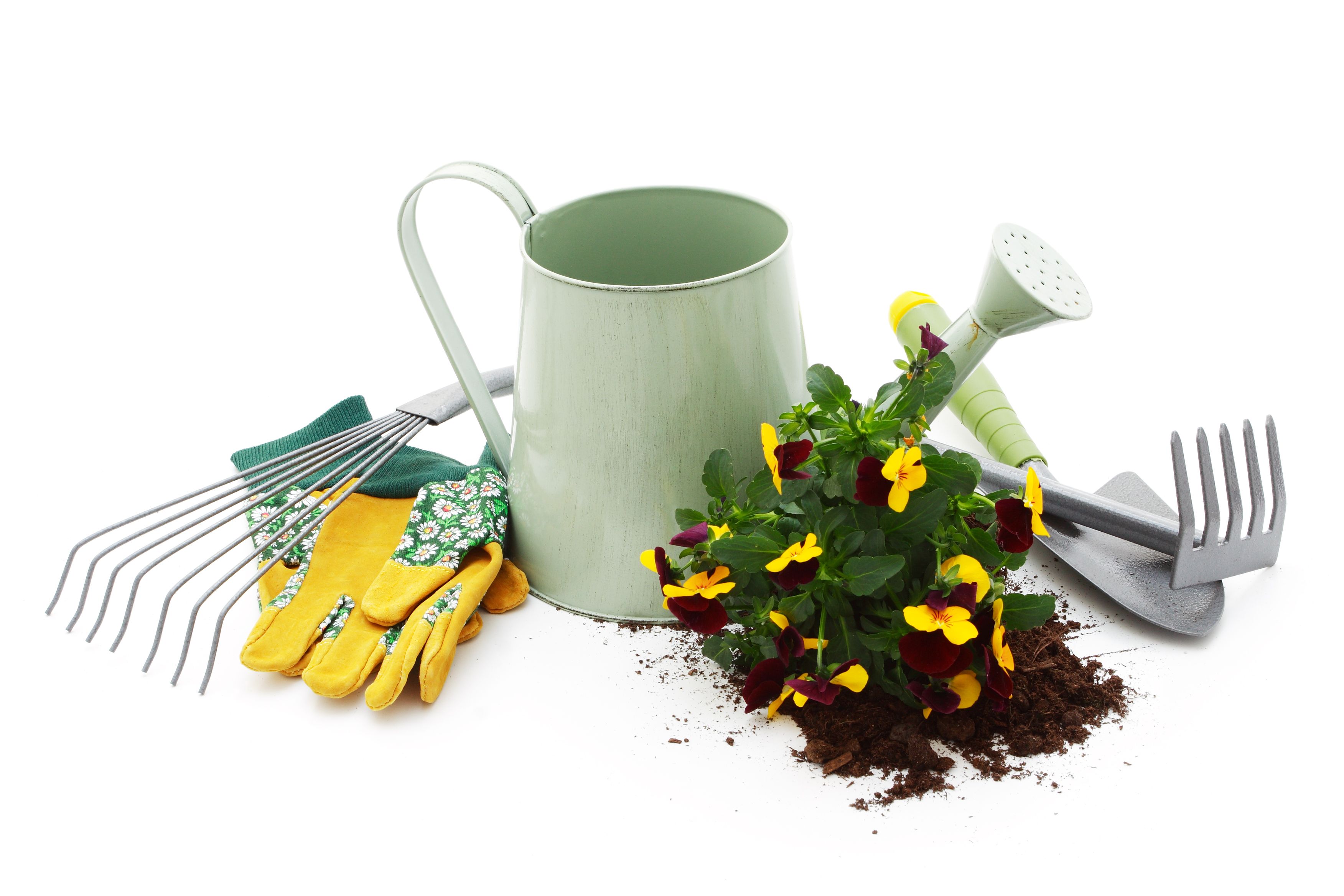 2025 Planting Calendar: Regional Guide to Optimal Planting Times