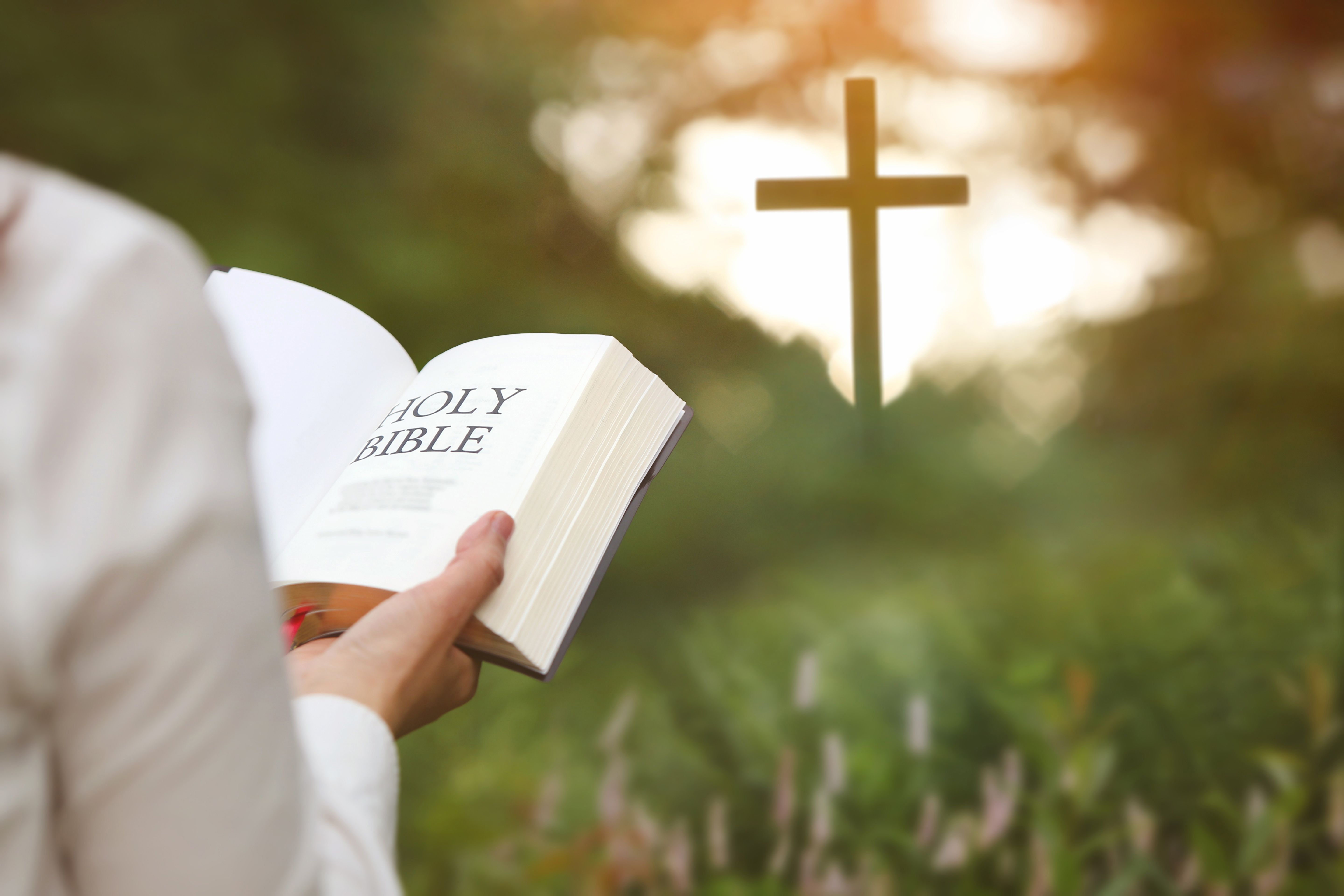 You Are Chosen and Called by God’s Grace