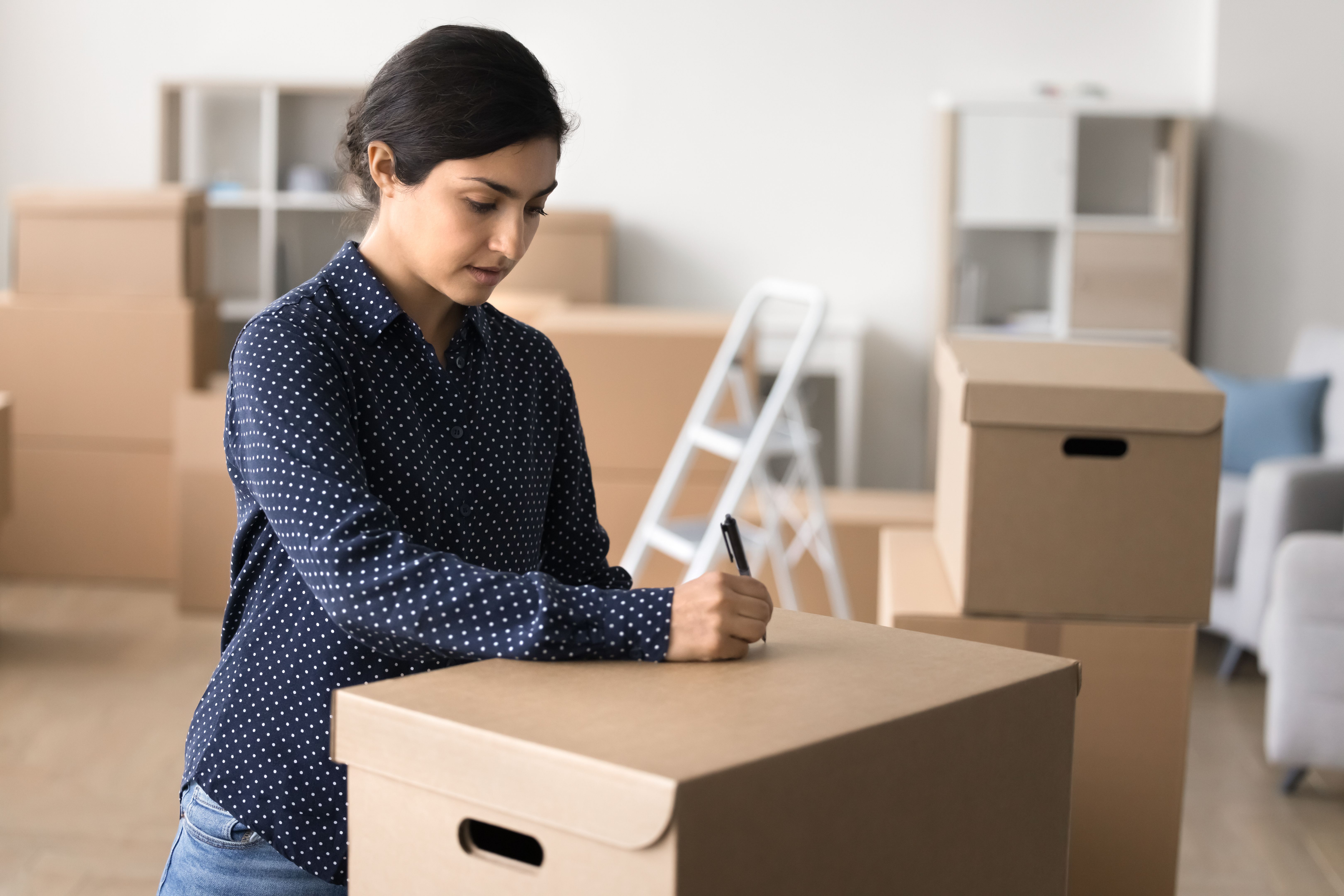 Titan Transportation Inc – Reliable Freight Dispatch in Indy