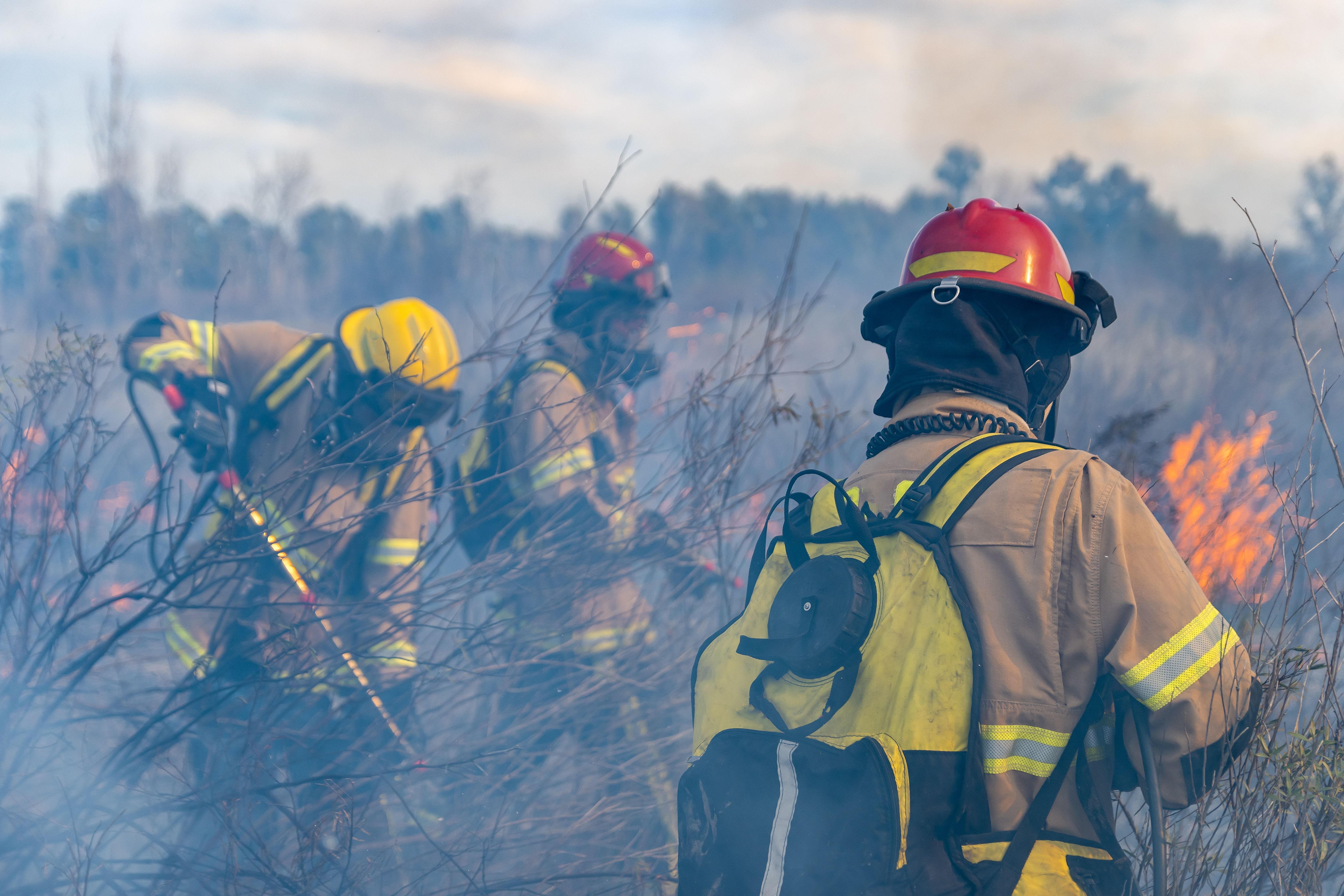 Smart Fire Safety Innovations for Wildfire Risk Control