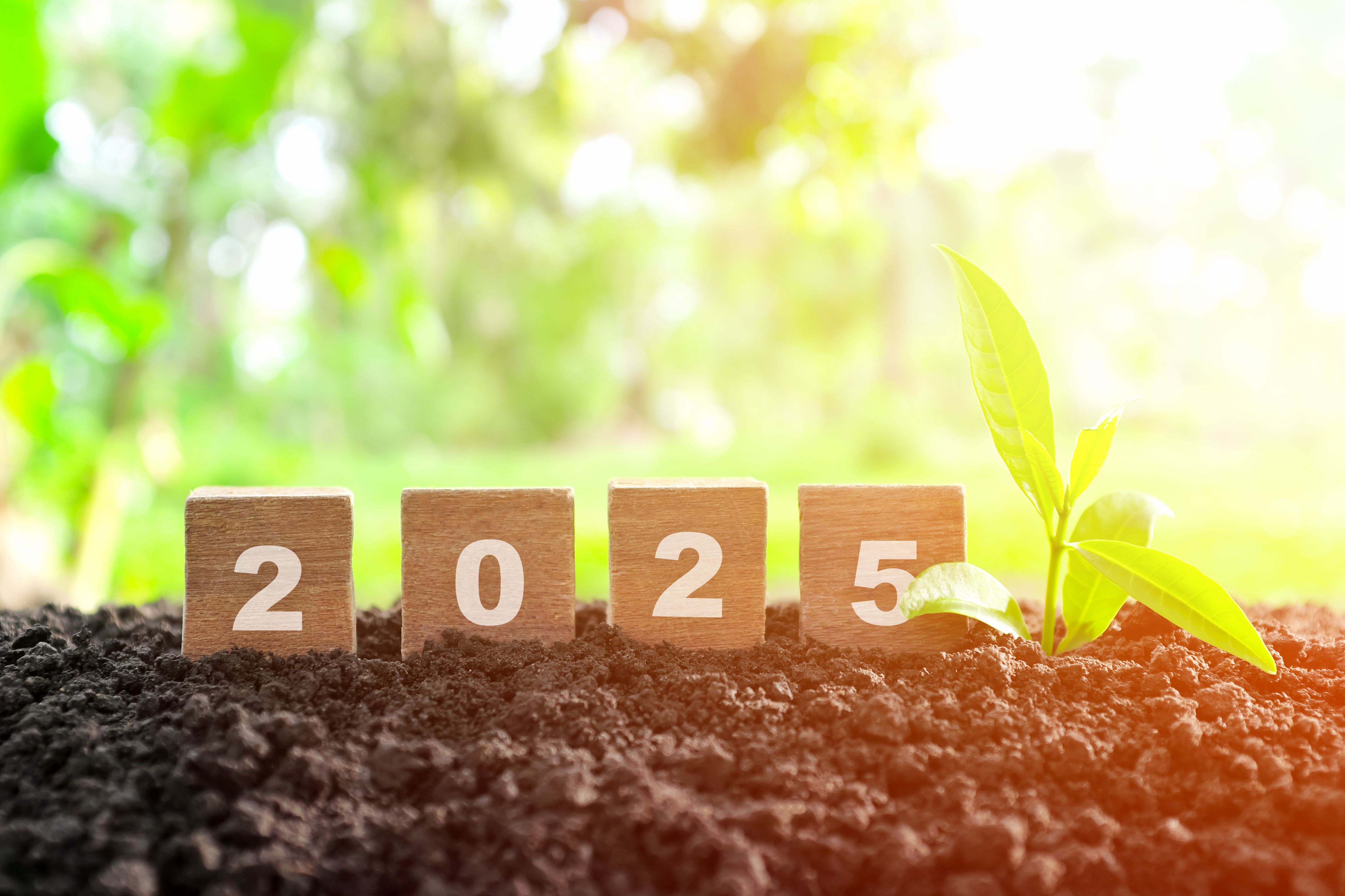 Welcoming 2025: A Year of New Beginnings