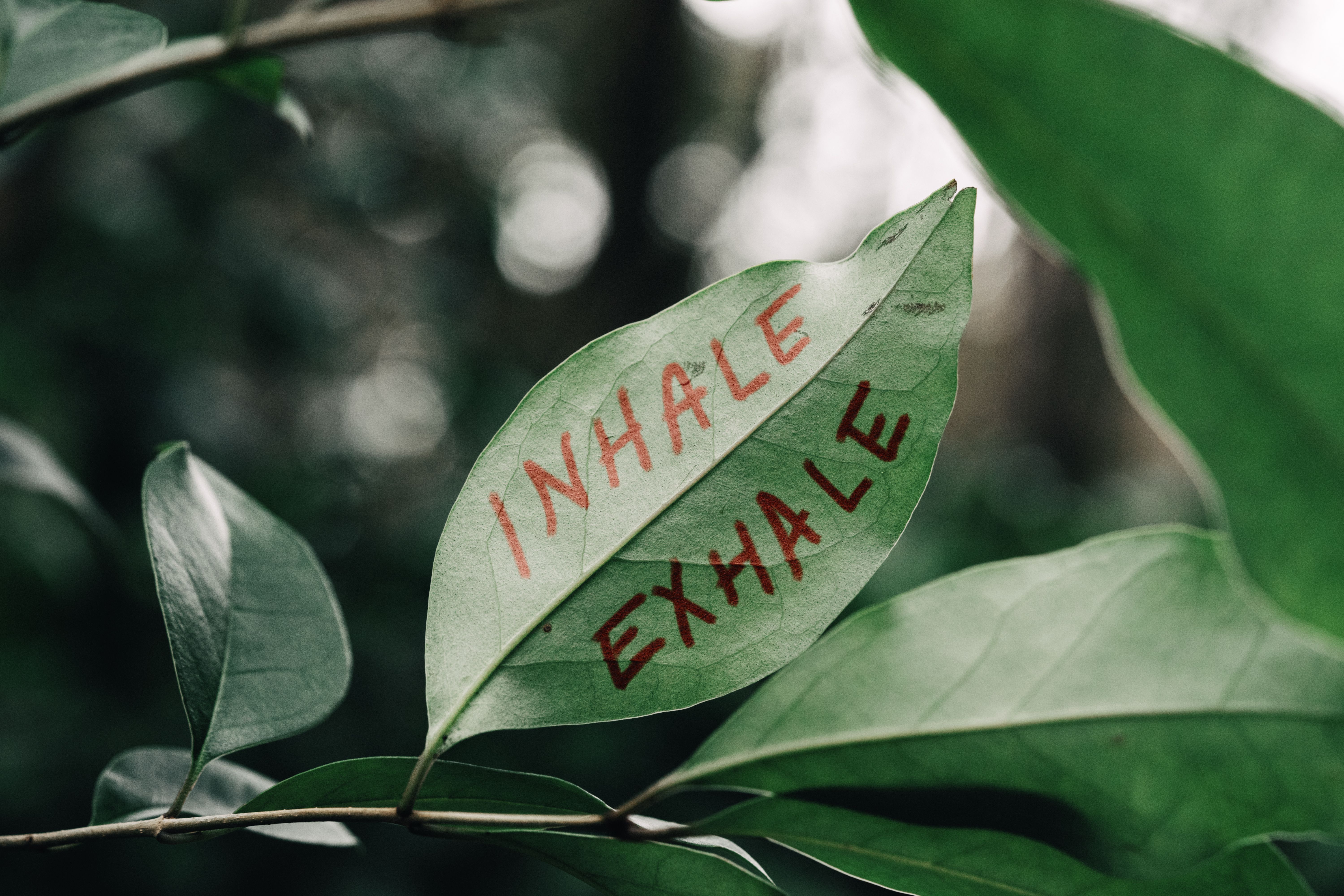 How to Do the “5-4-3-2-1” Grounding Exercise: A Simple Tool for Finding ...