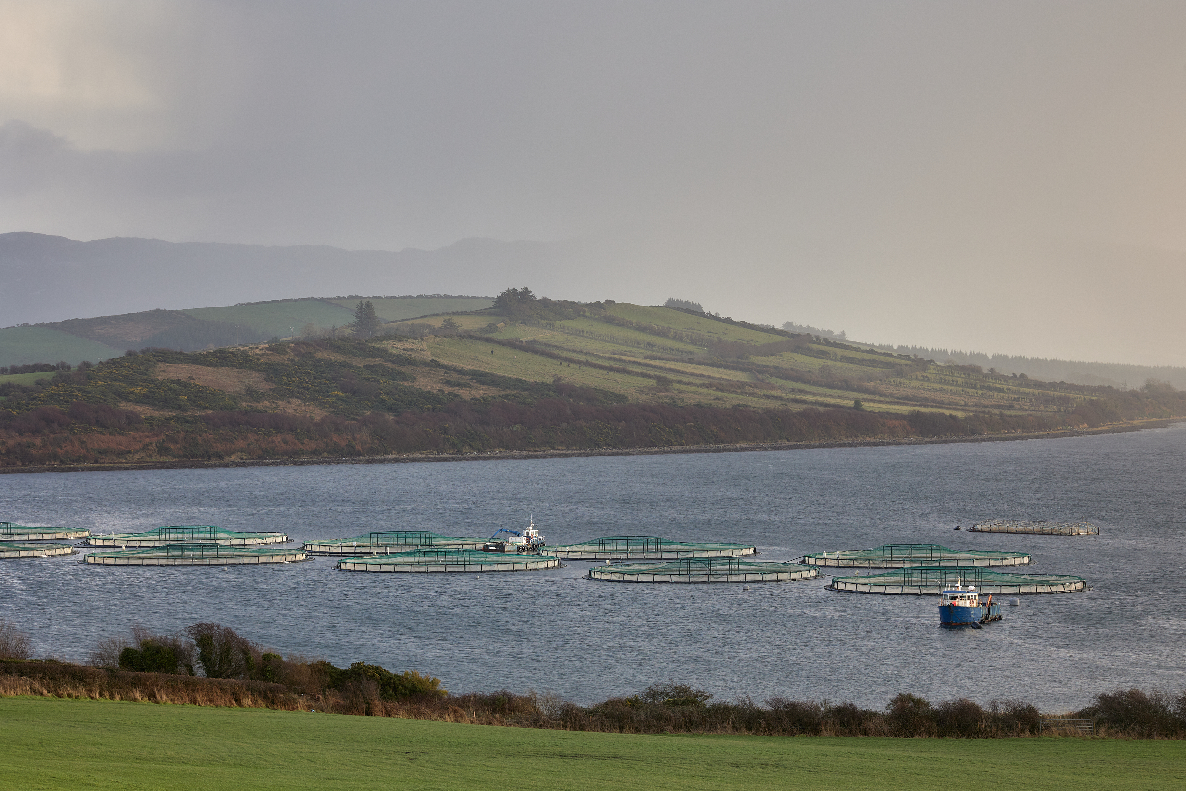 Fish Farming Practices in Ireland