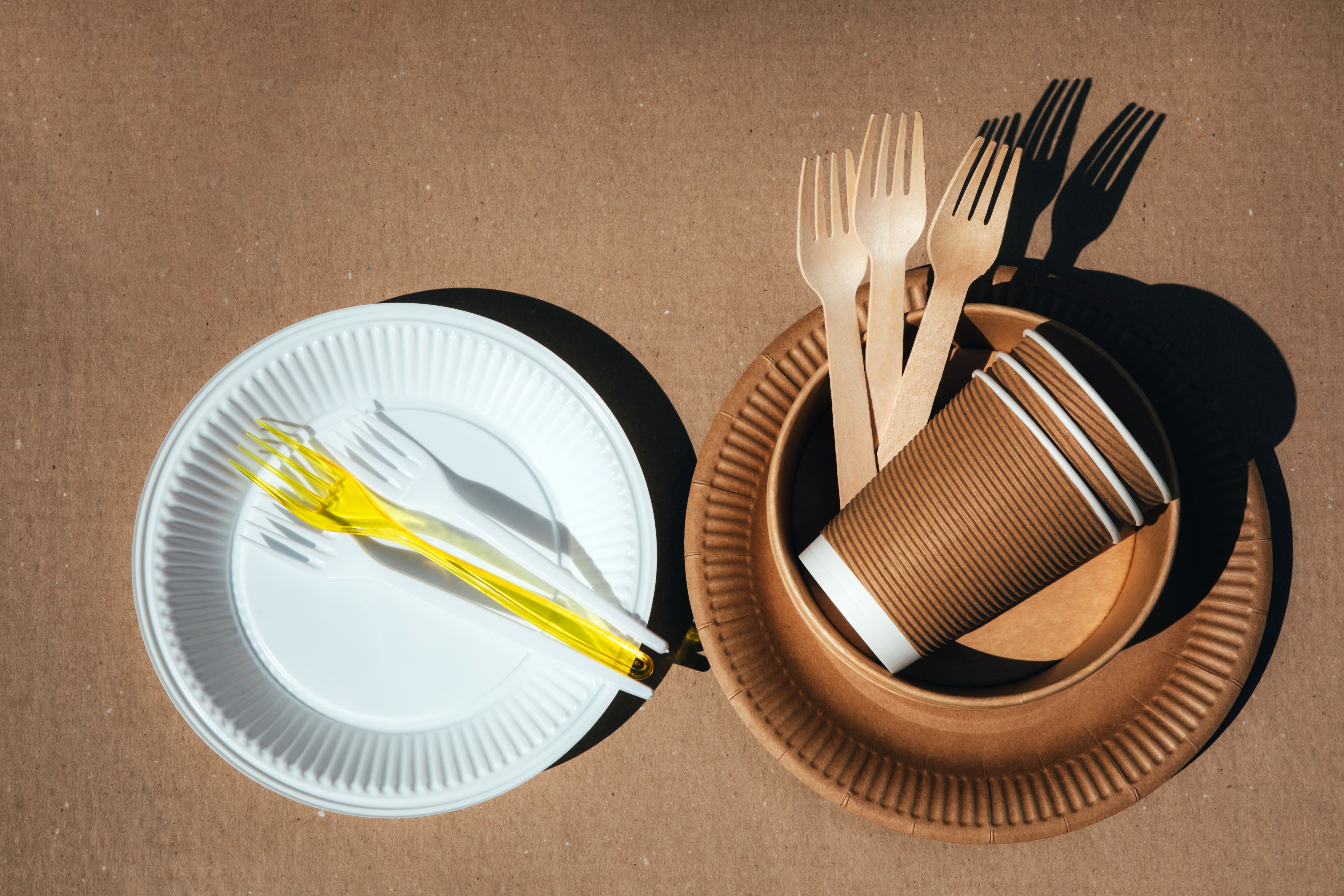 Compostable vs. Traditional Disposable Tableware: A Comprehensive ...