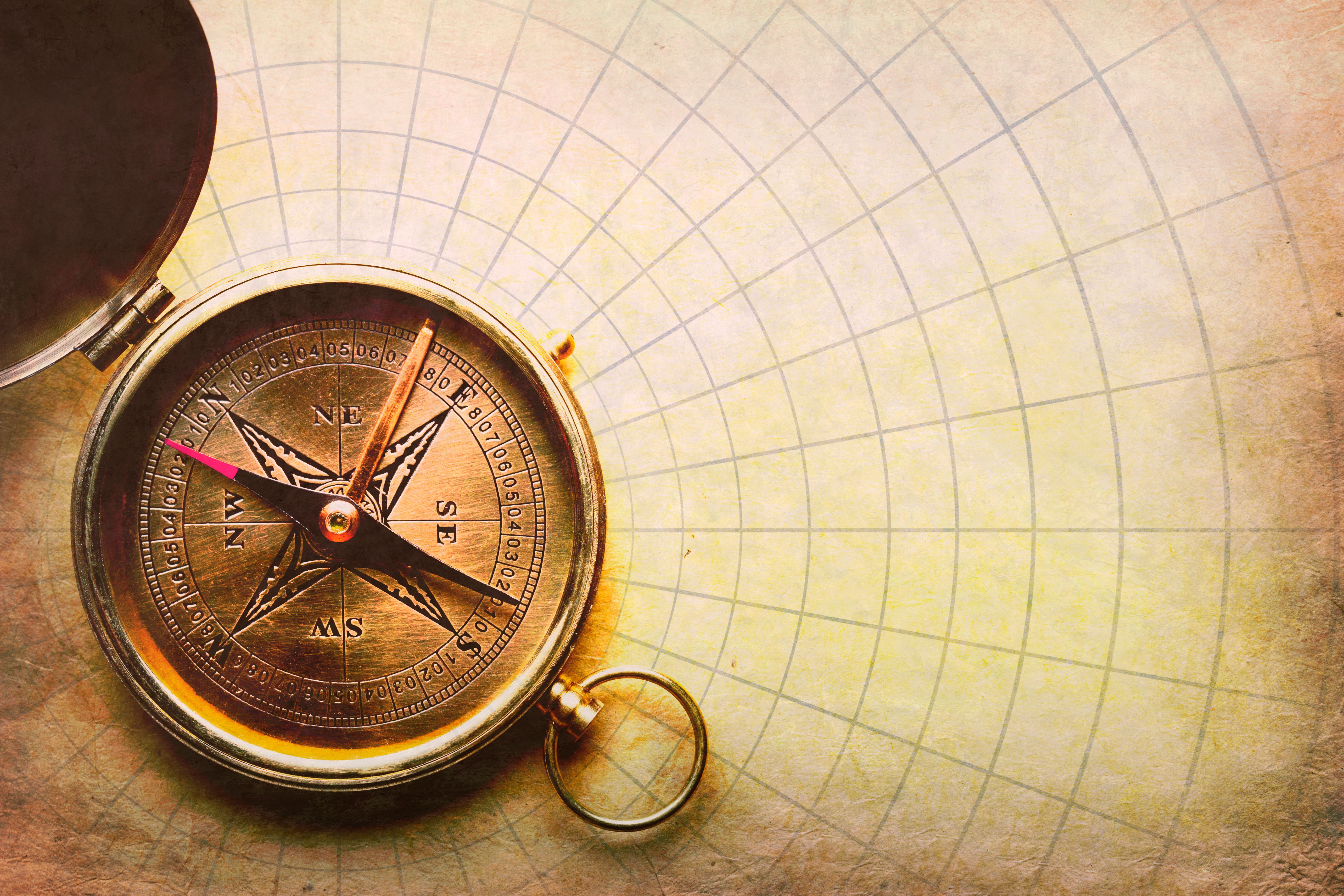 Navigating Flavors with the Culinary Compass