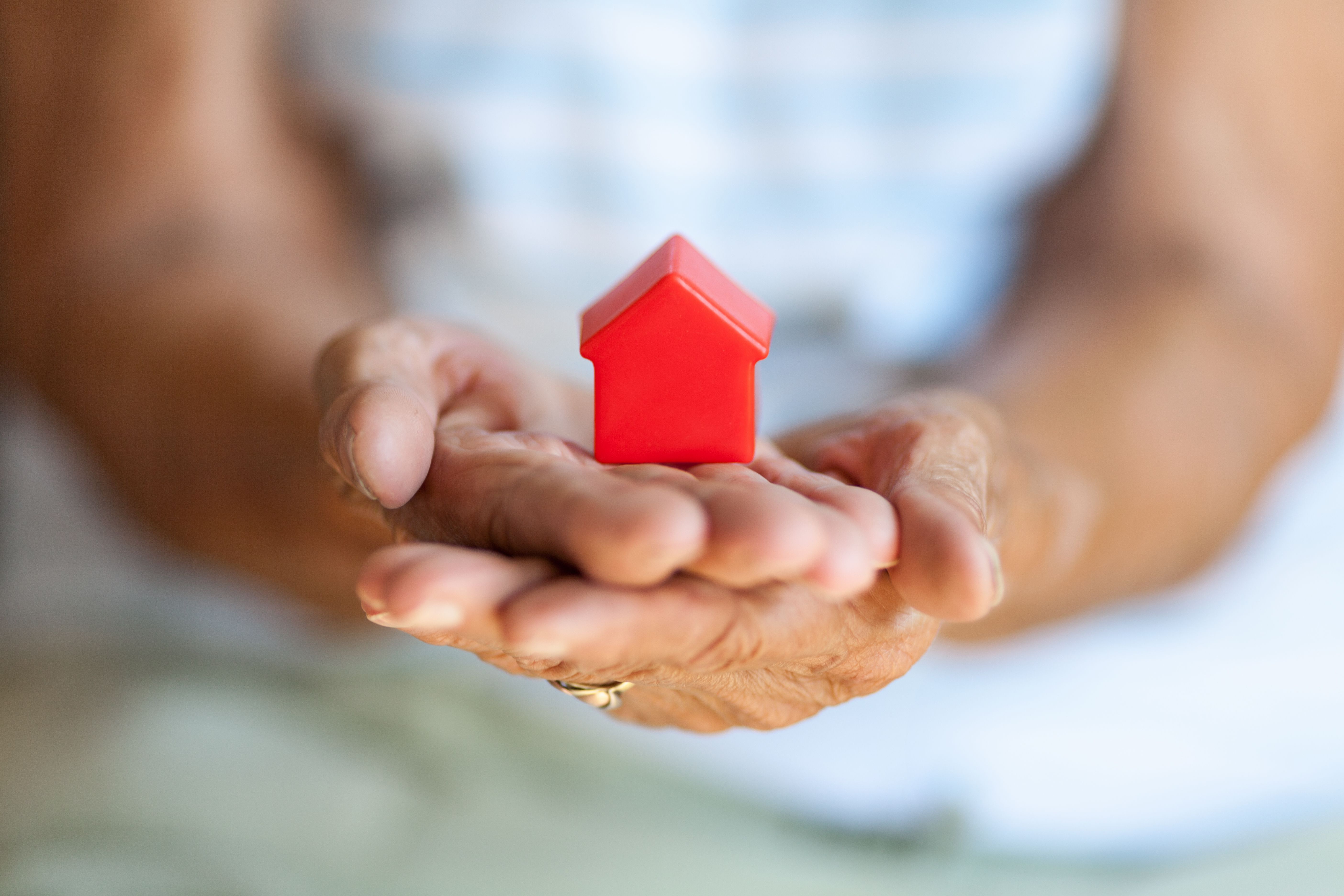 Affordable Tiny Homes for Seniors | Accessible Living by Zettie's Place Inc