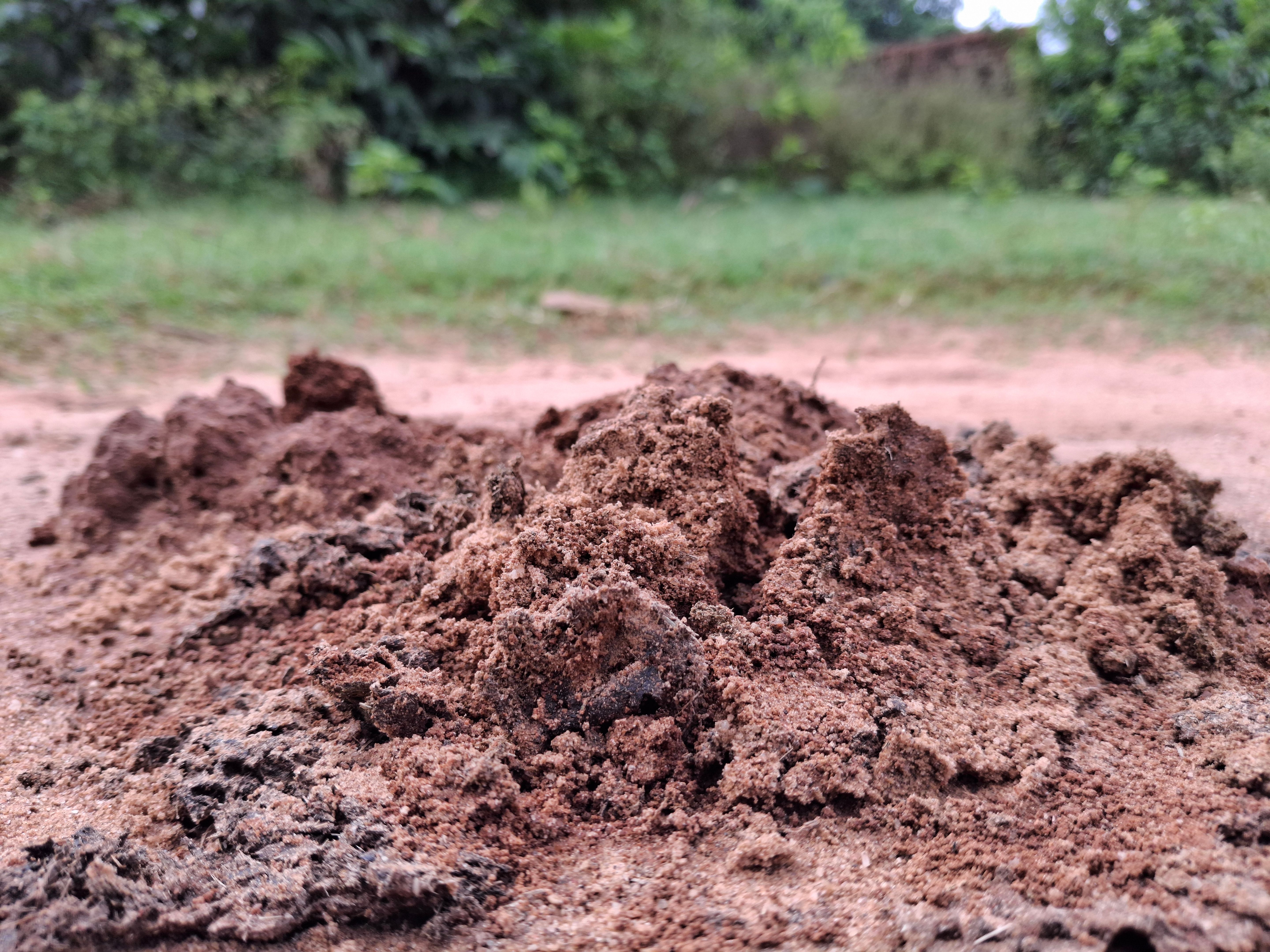 Ensuring Stability: How to Verify Soil Compaction