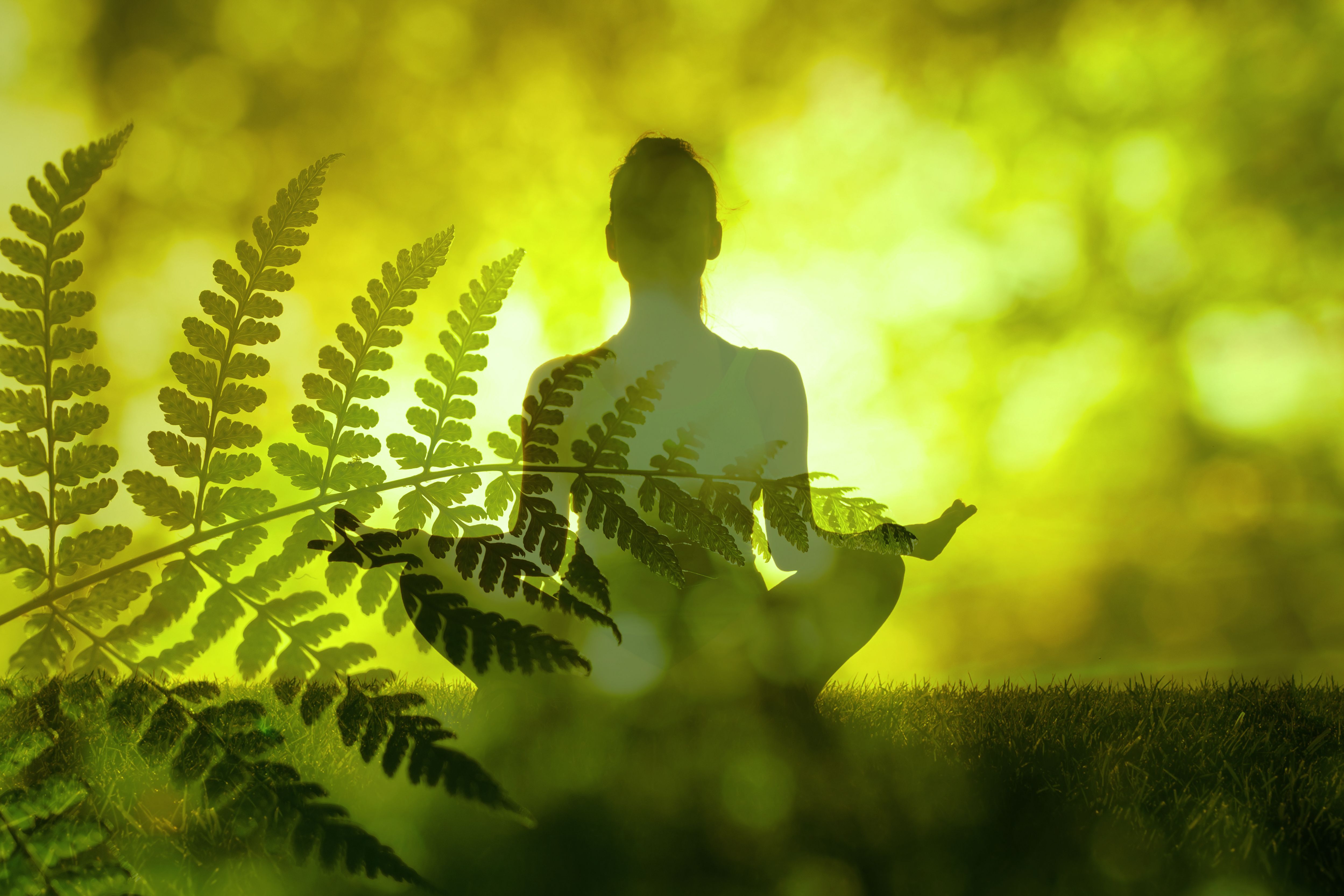 Exploring the Healing Power of Nature in Spiritual Practices