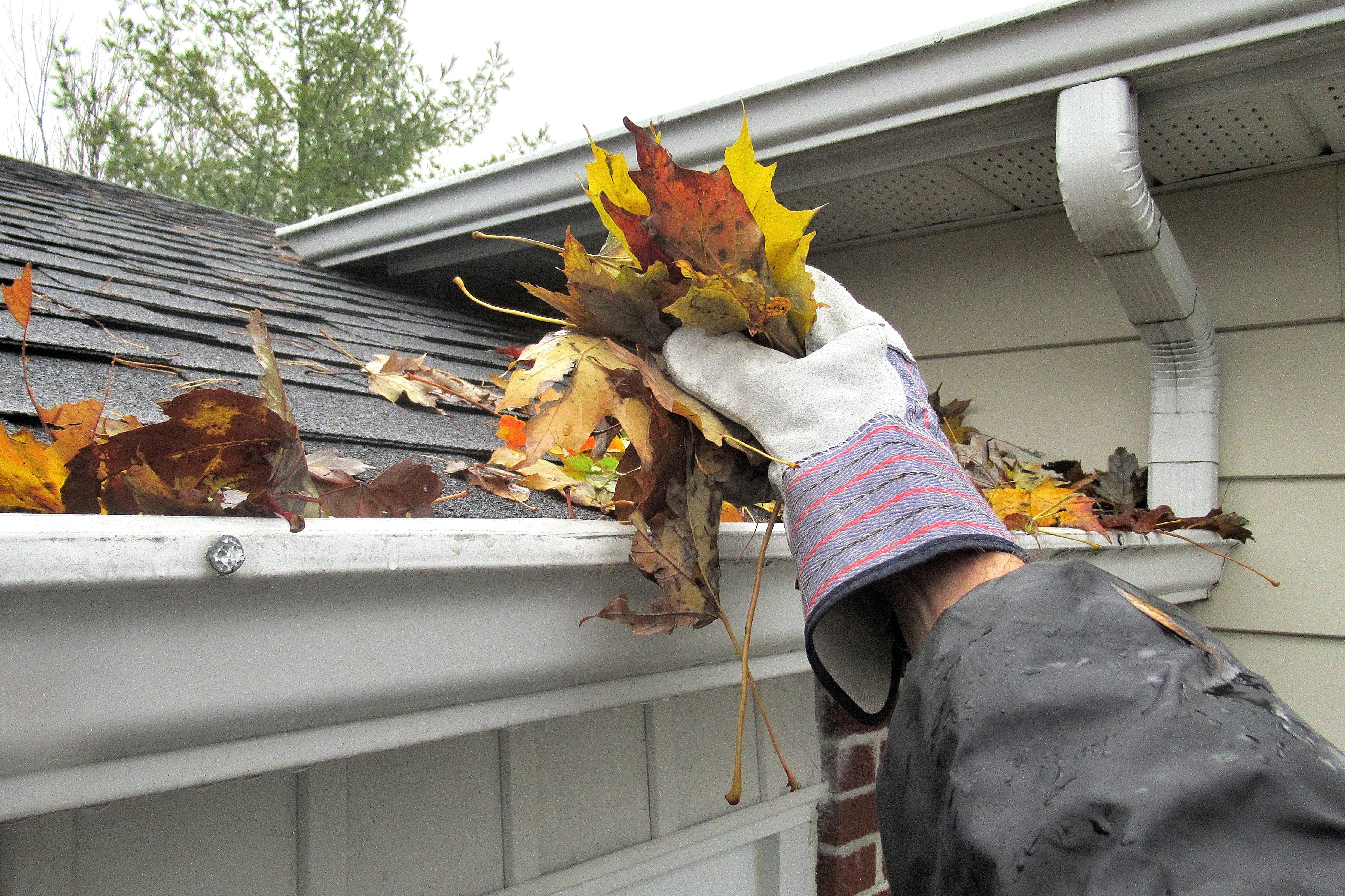 How Clogged Gutters Damage More Than Just Your Roof