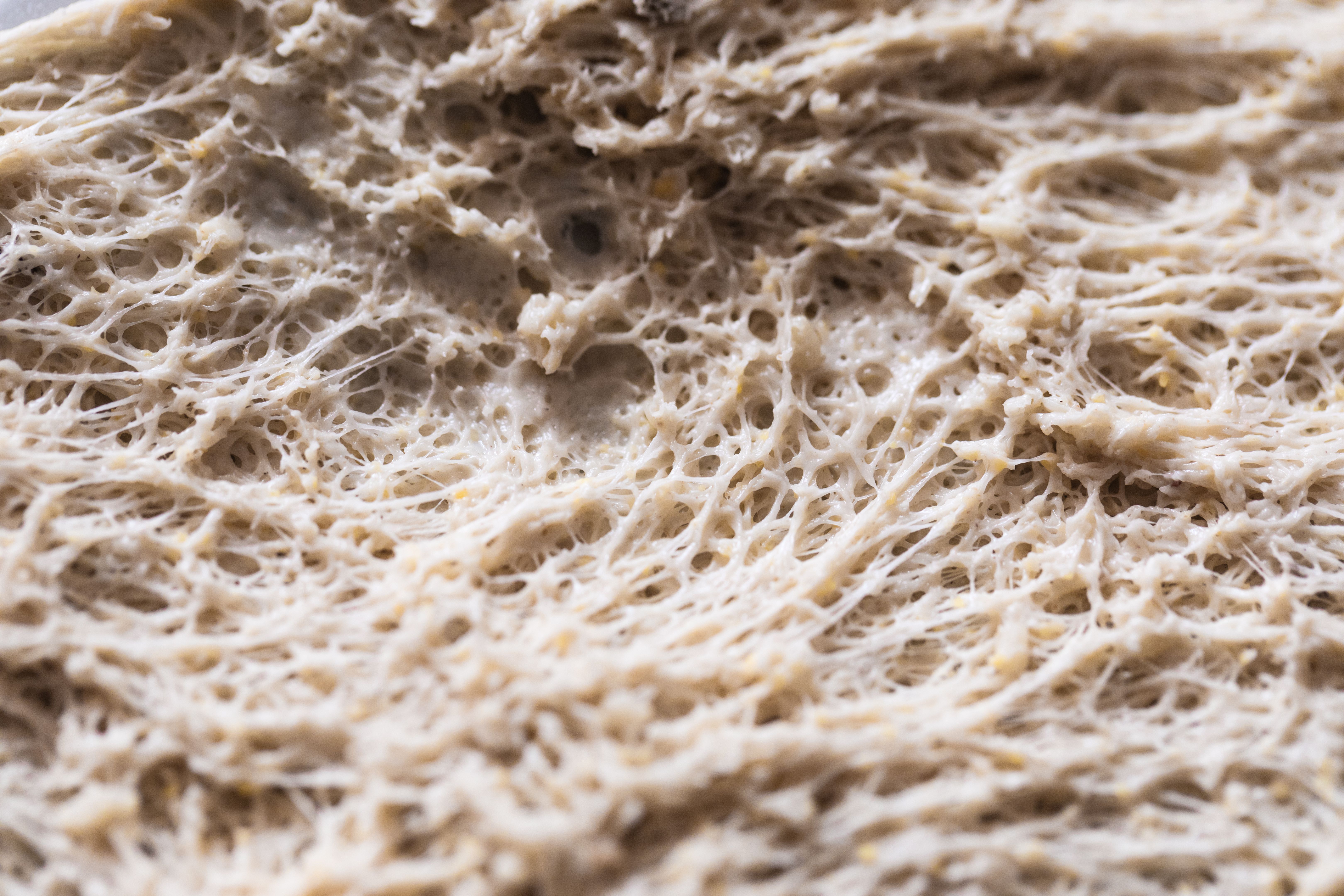 Seasonal Changes and Their Impact on Sourdough Fermentation