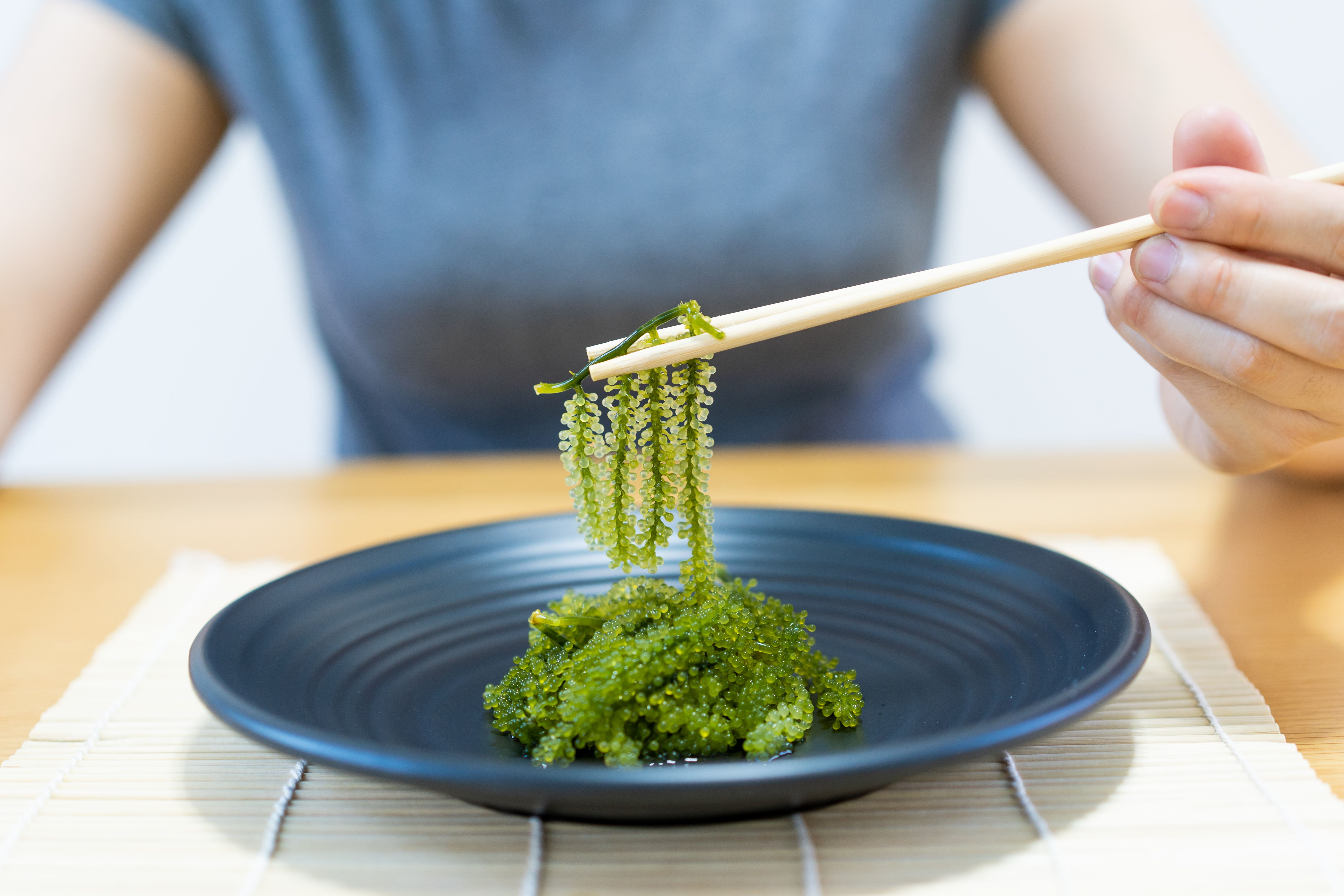 Exploring the Culinary Potential of Intestinal Green Algae