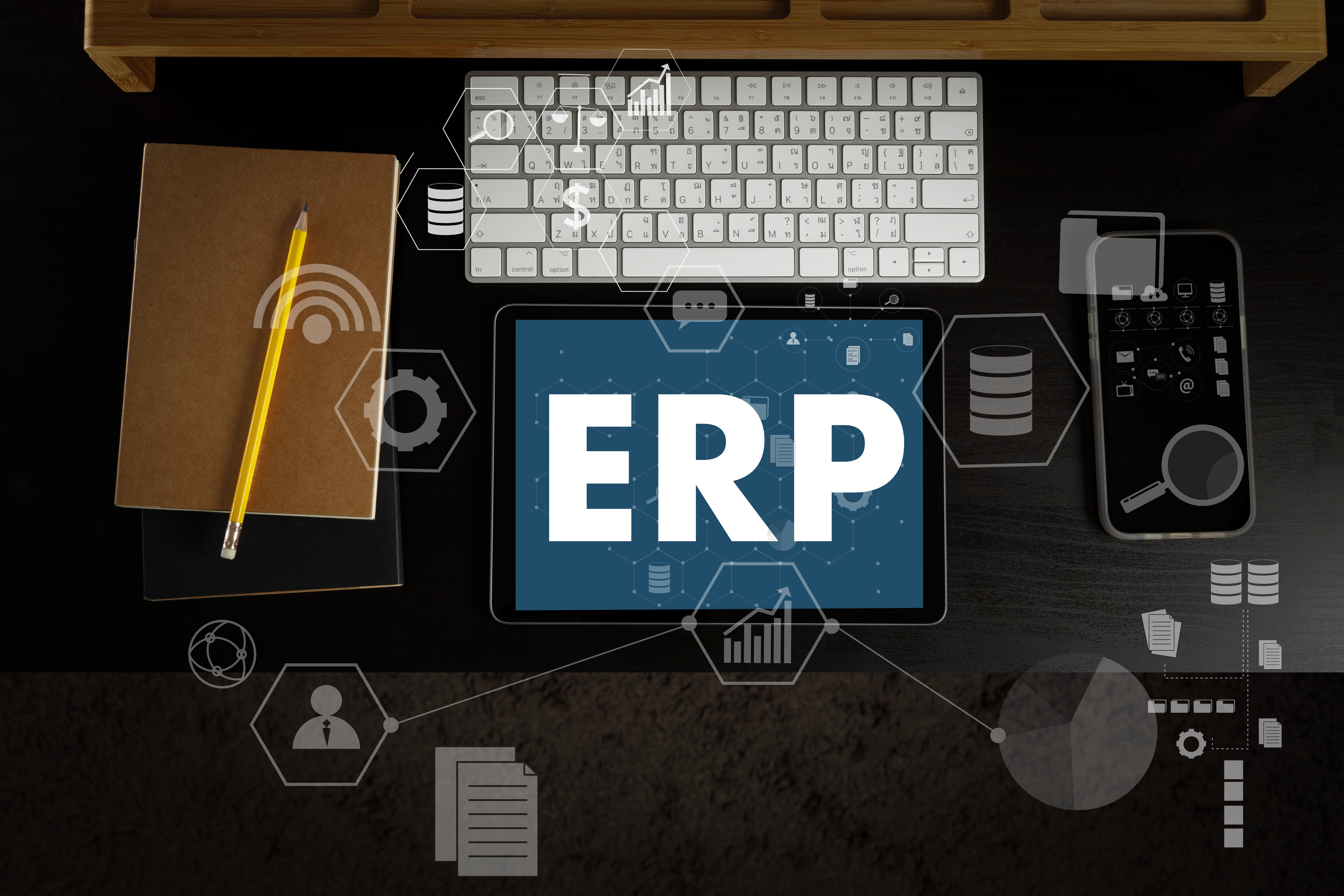 Maximizing Profits with an ERP in Your Ecommerce Business