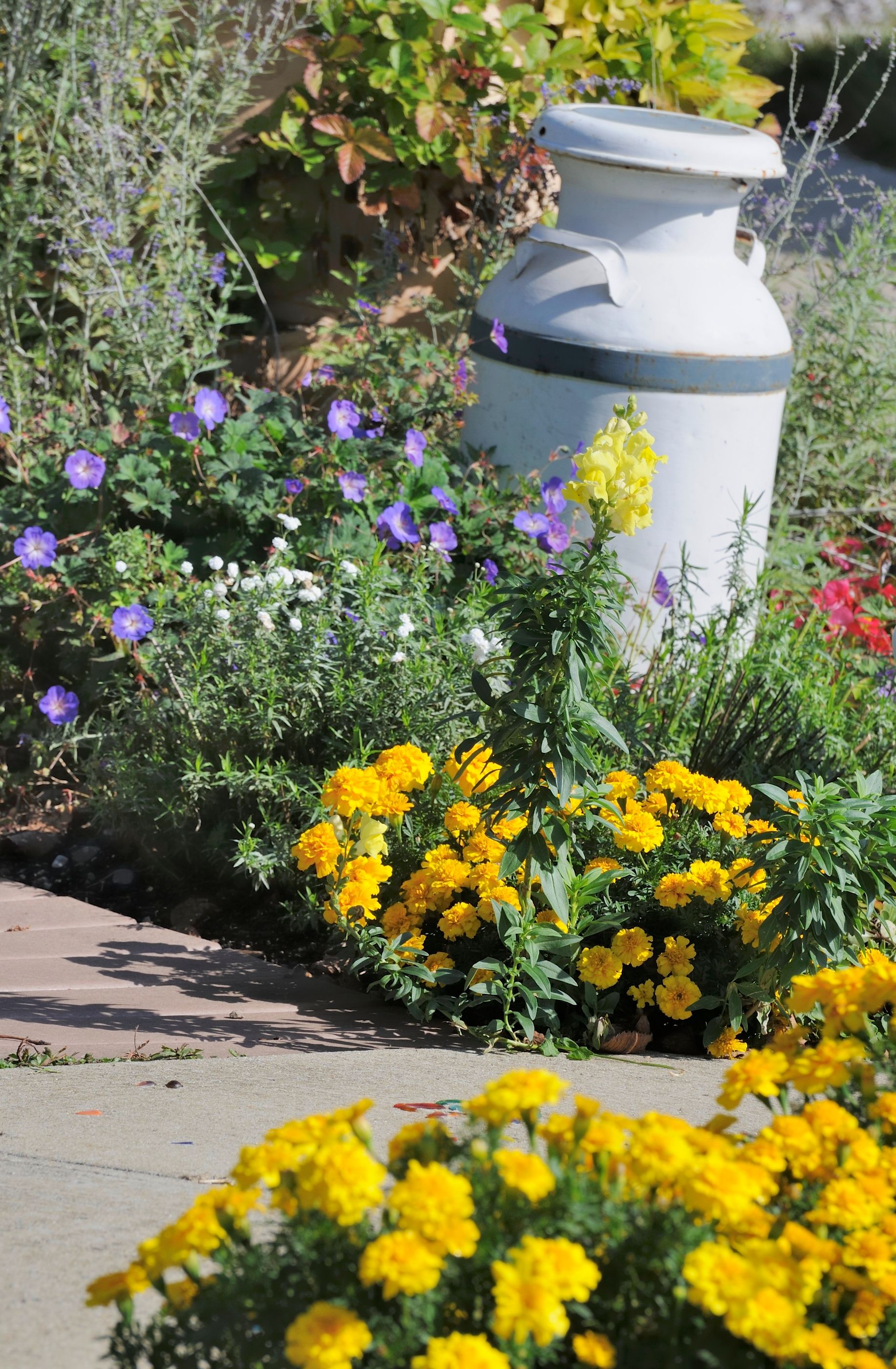 Transform Outdoor Spaces with Longneck Landscaping Experts