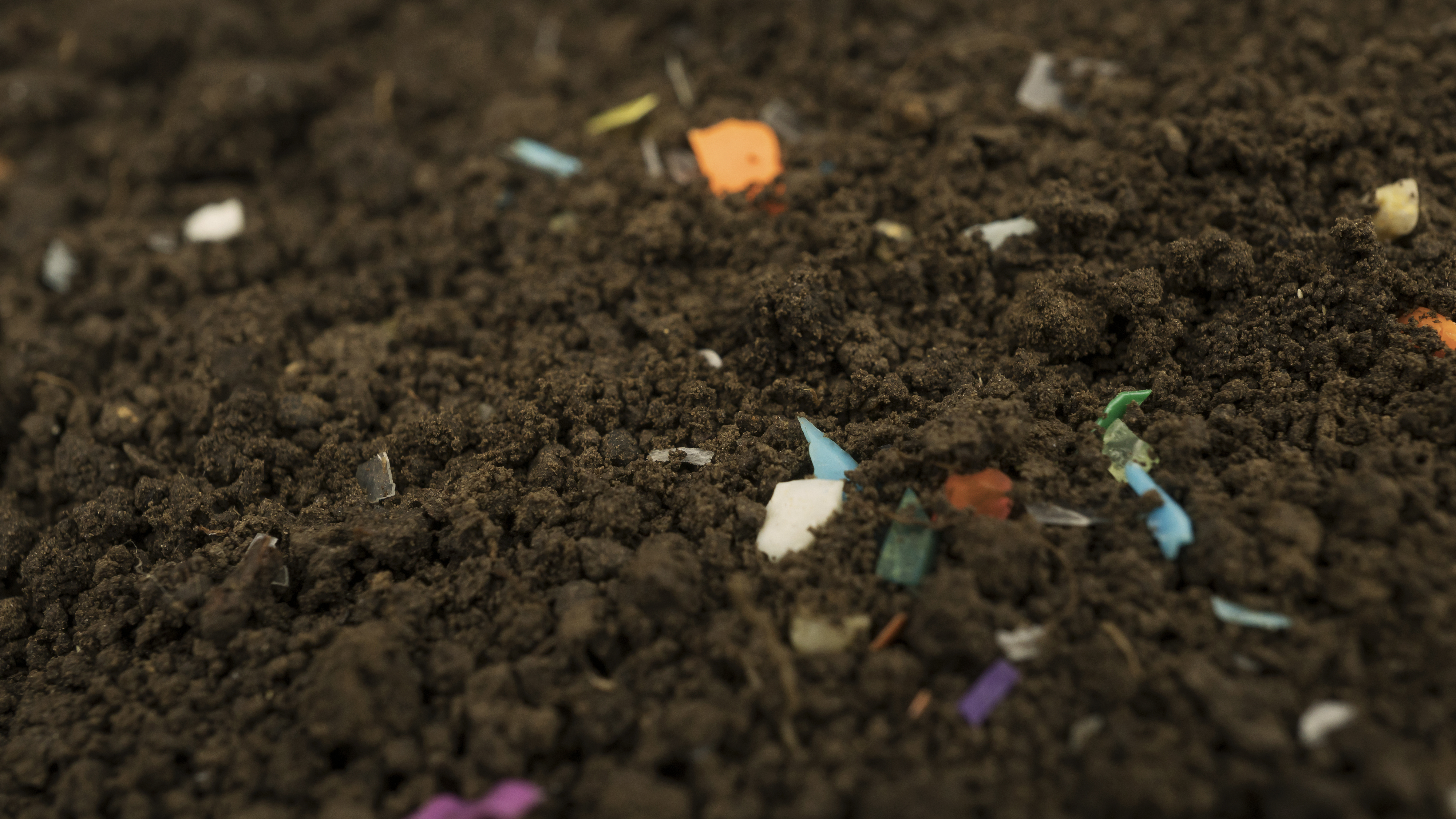Microplastics and Their Effects on Irish Agriculture