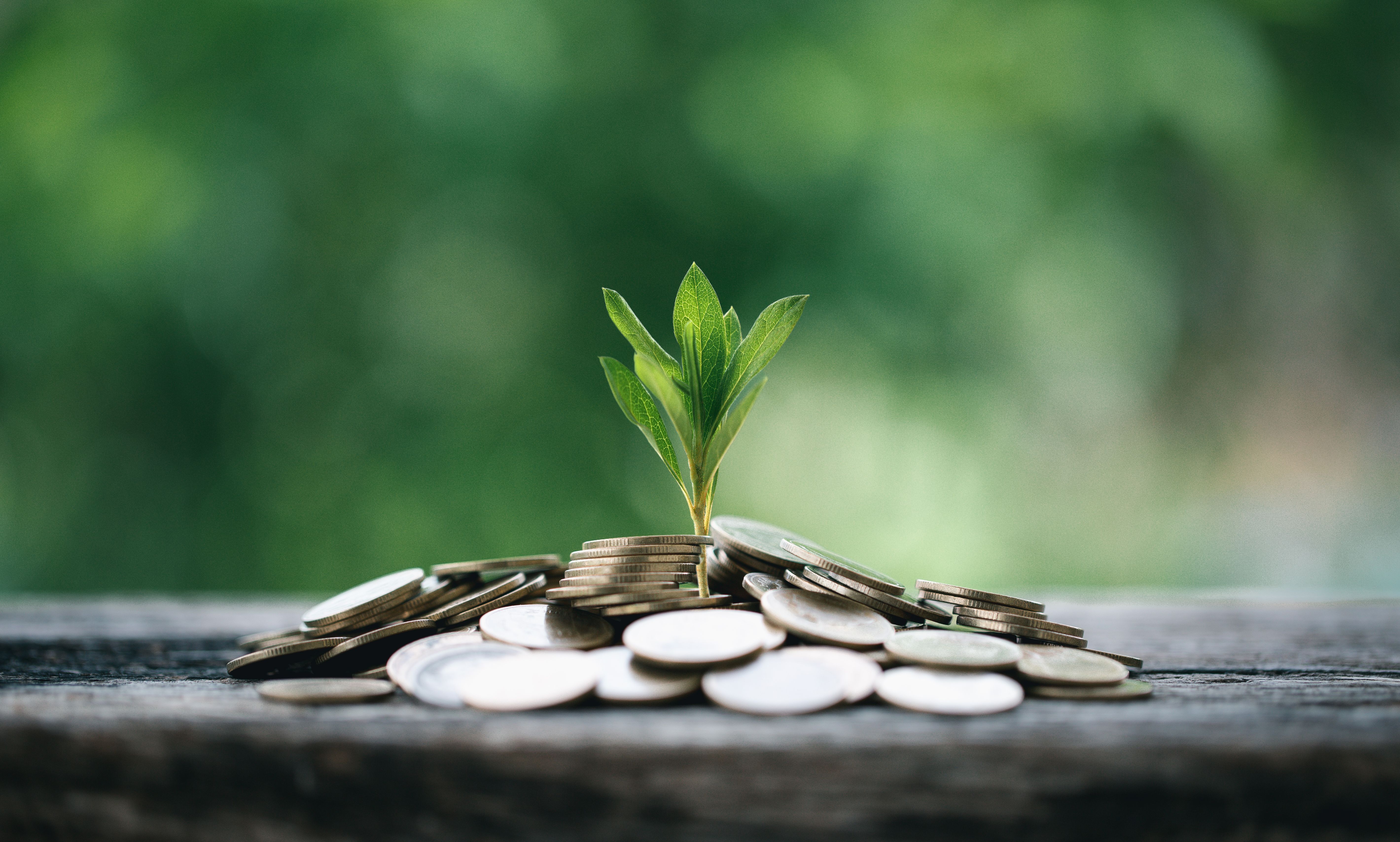Sustainability on a Budget: Five Effective Low-Cost Changes