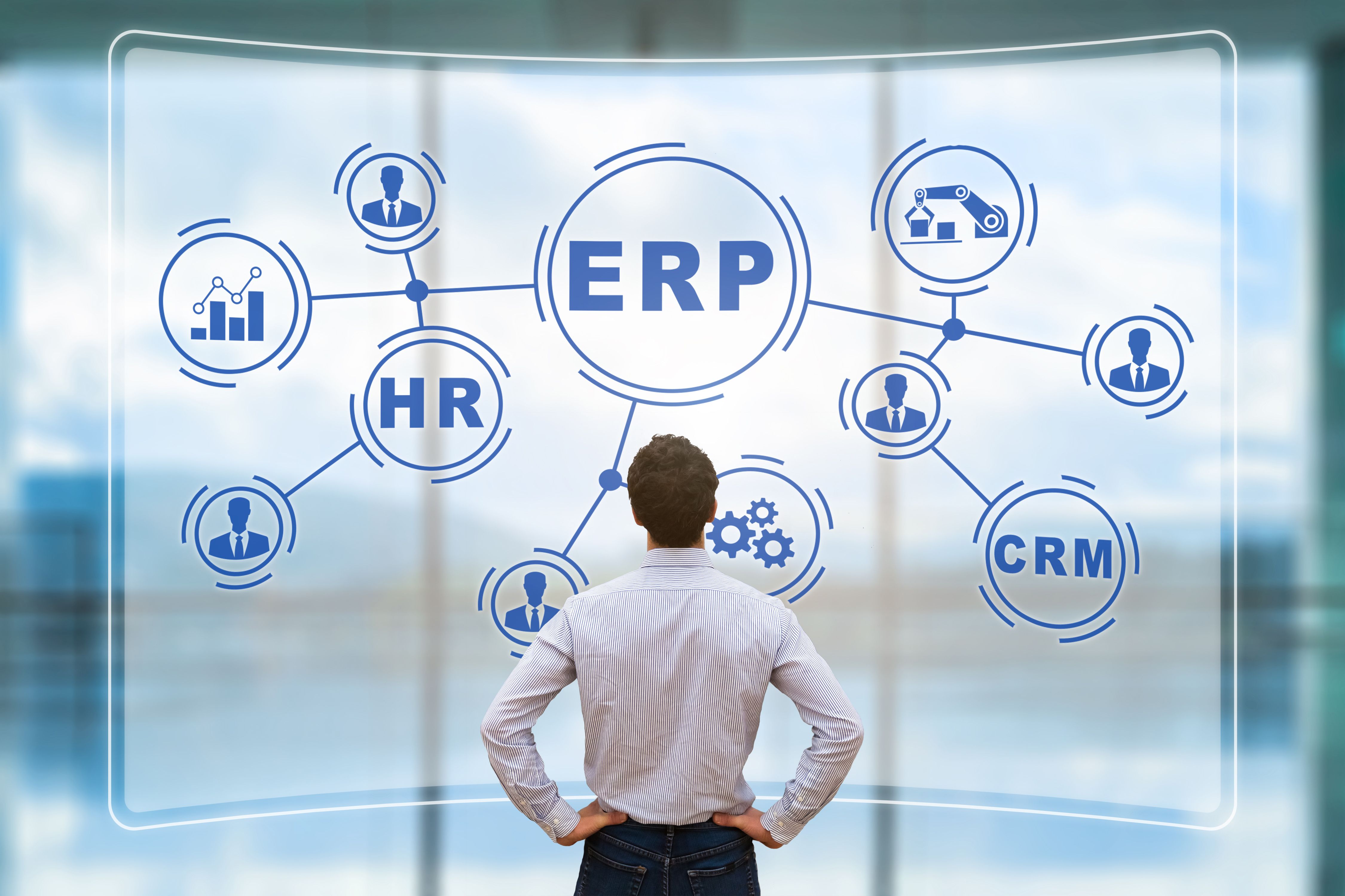 ERP Statistics 2025
