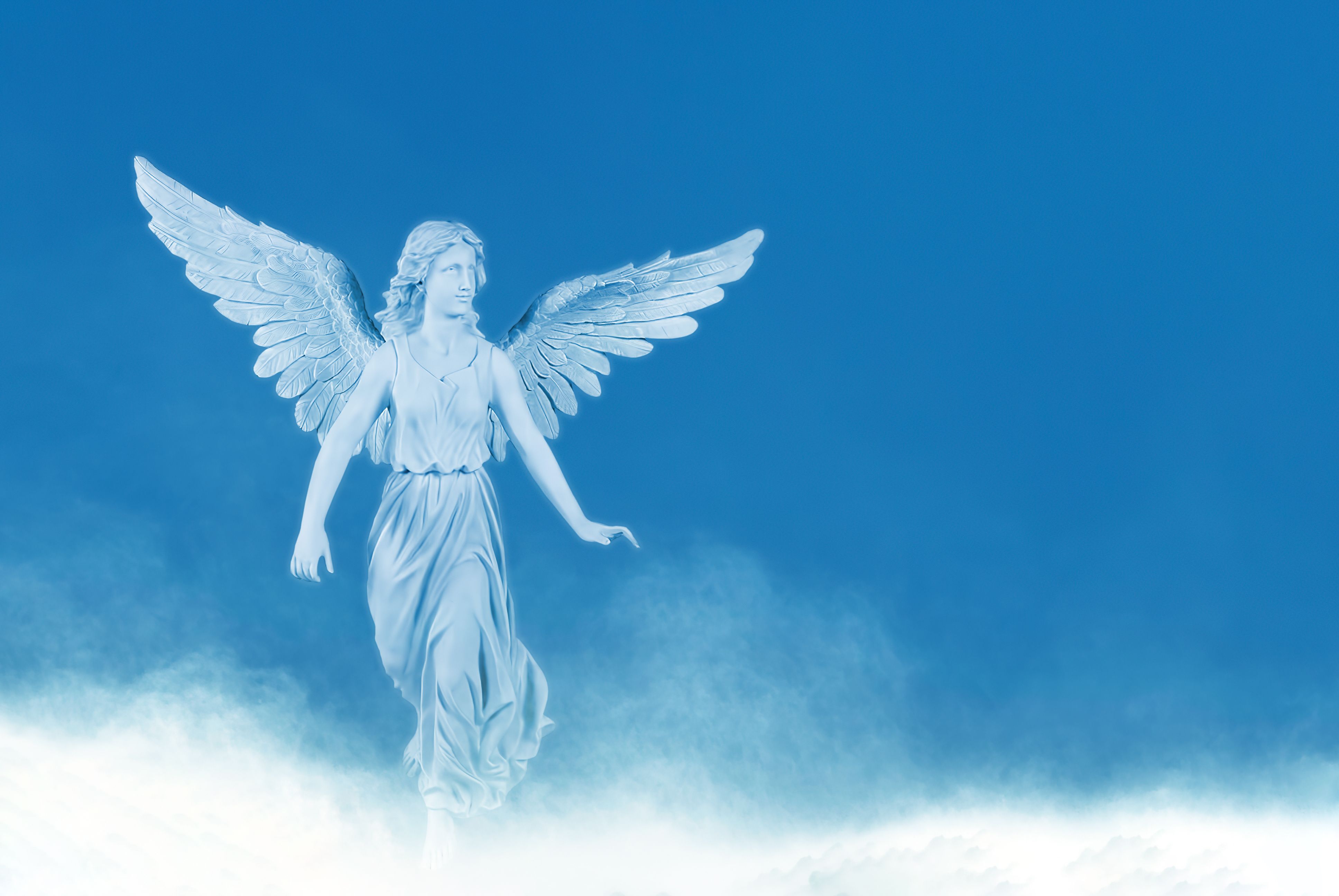 Why Choose Guardian Angels Tech for Your Software Needs?