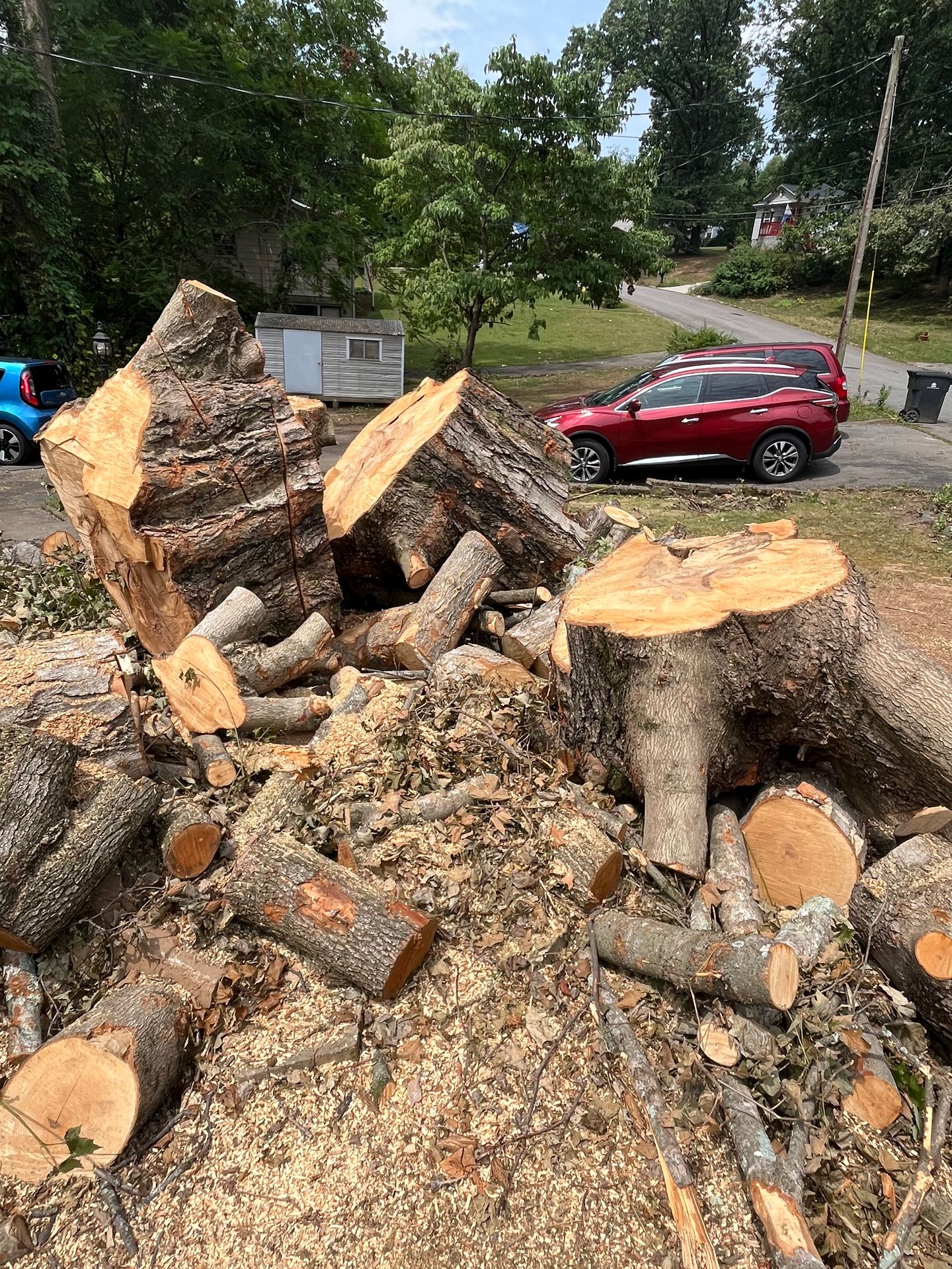 Tree & Brush Removal Services in Knoxville, TN | Land Clearing Experts