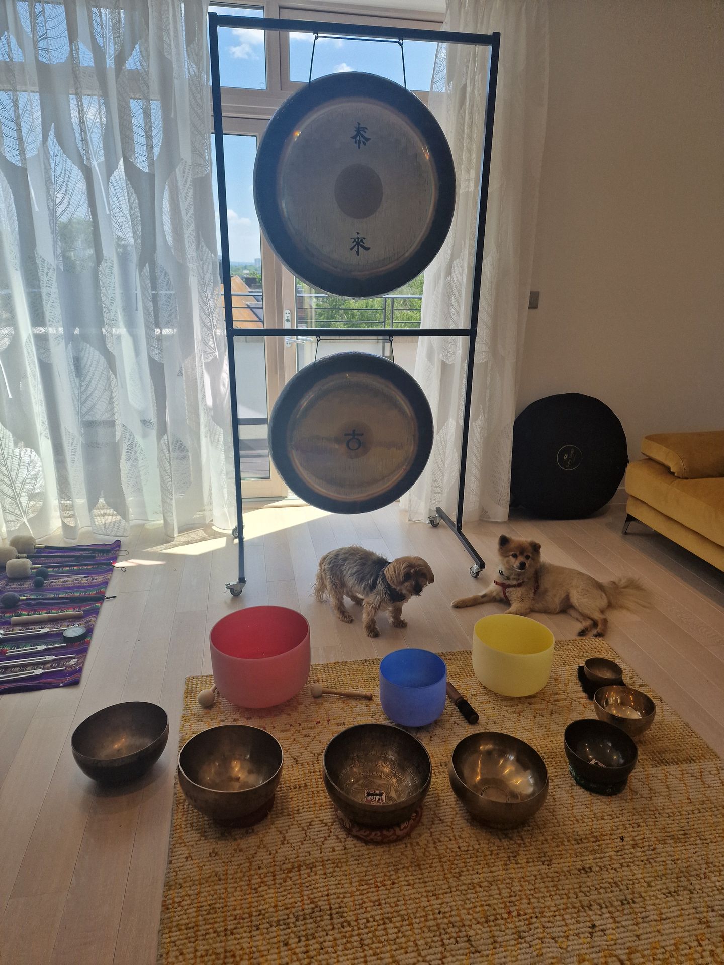 Sound Bath for Dogs - Individual Pet Sound Healing London