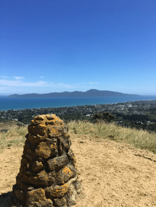 Walkway and Track Maintenance