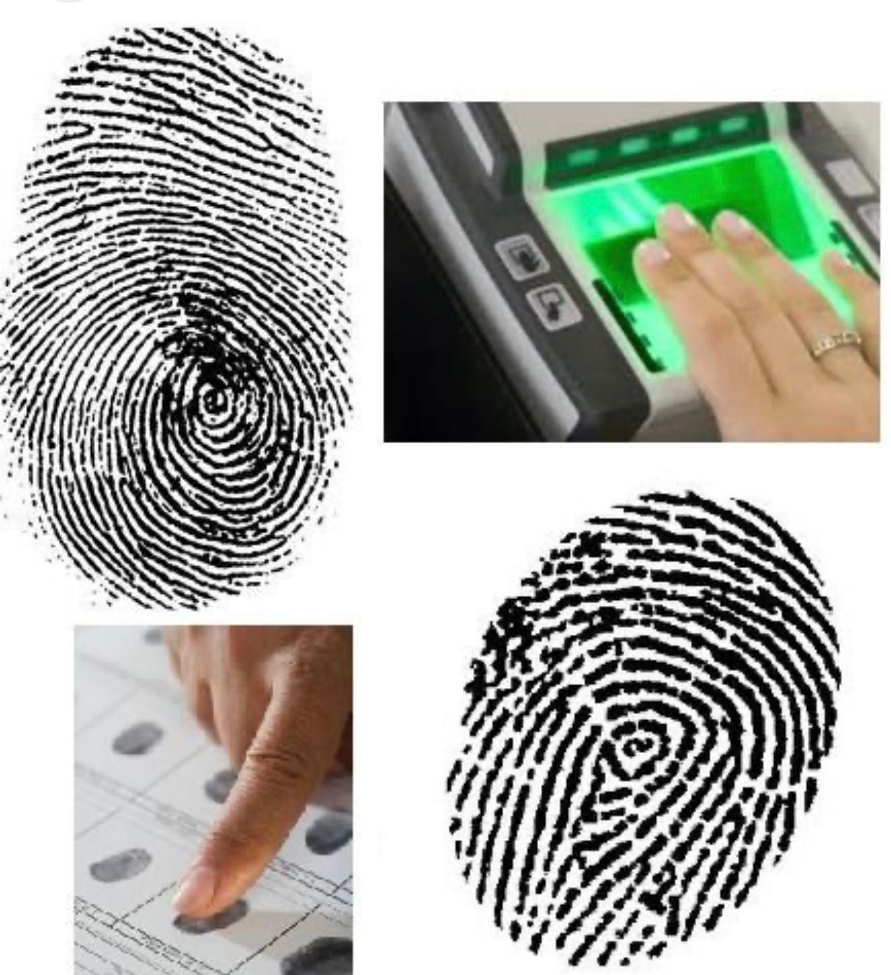 Fast and Secure Live Scan Fingerprinting Services in Miami