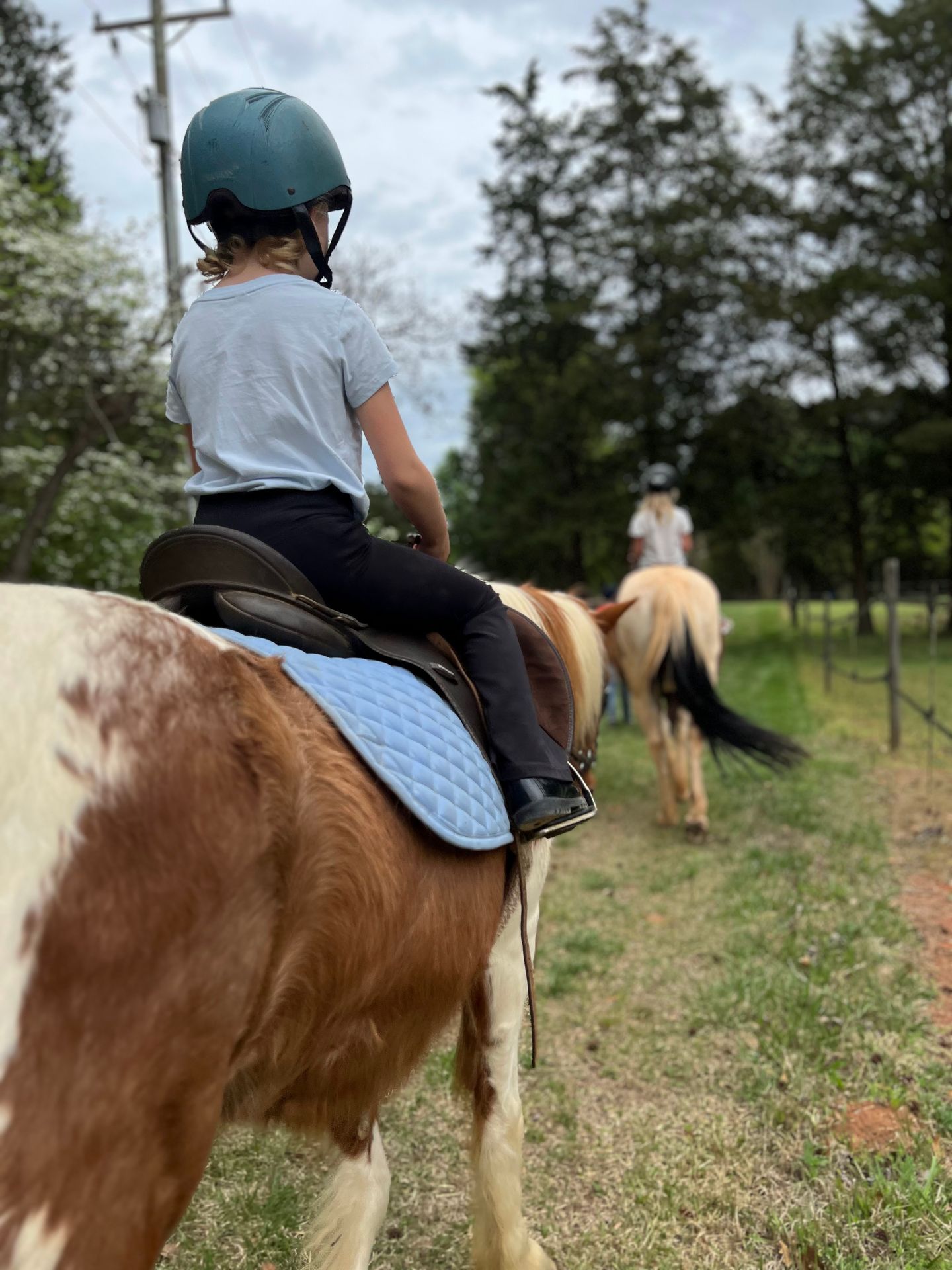 Discover Horse Shadow Run: Premier Equine Adventures