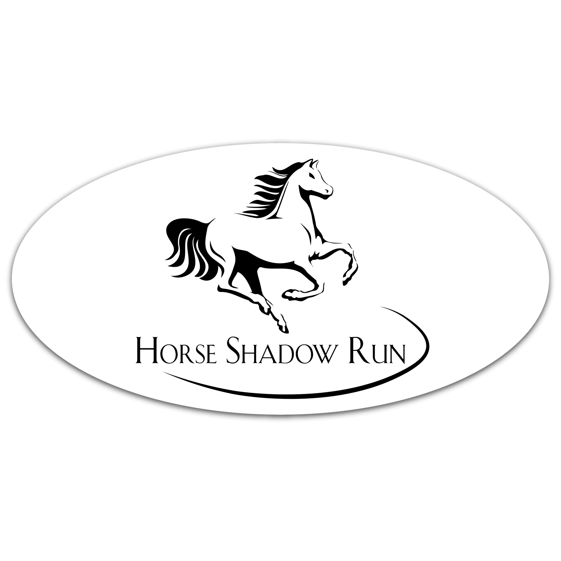 Some of the horses that call Horse Shadow Run their home