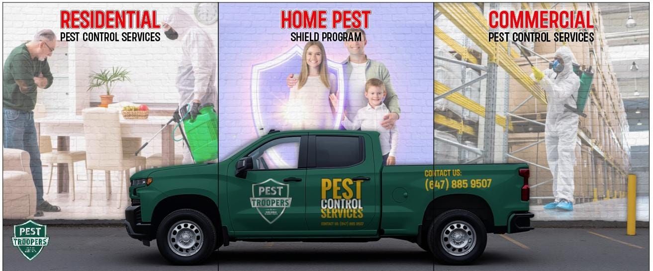 Licensed Pest Control Services in Toronto & GTA | Pest Troopers