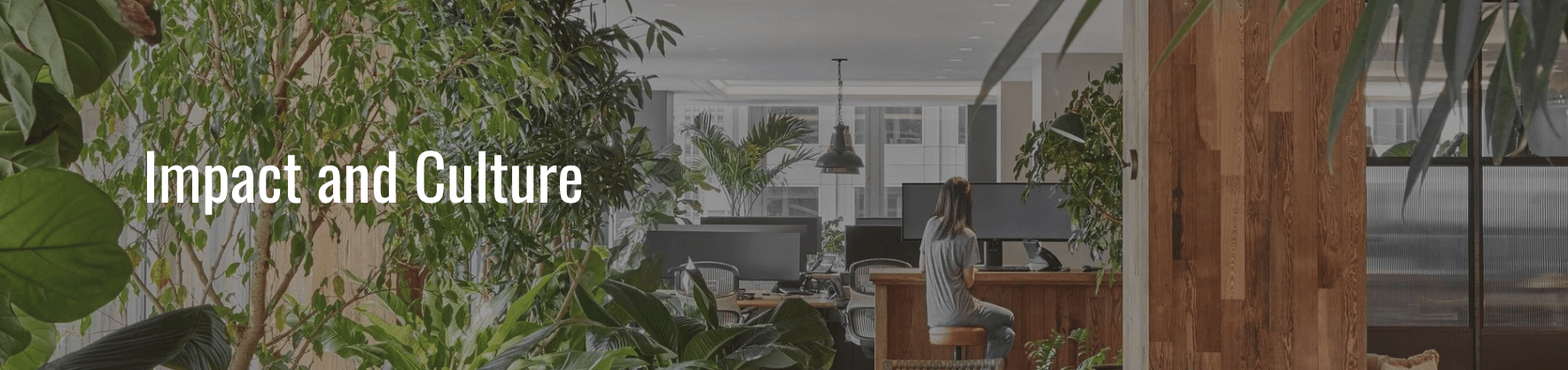 Purposeful Alternative Investment Fund Impact | Purpose Equity