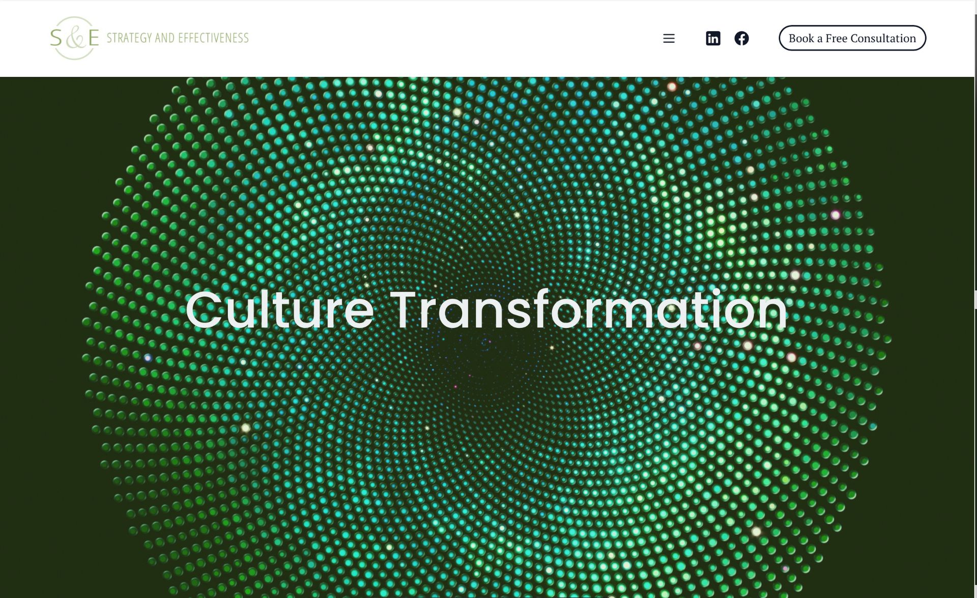 Transform Your Organizational Culture with Strategy & Effectiveness