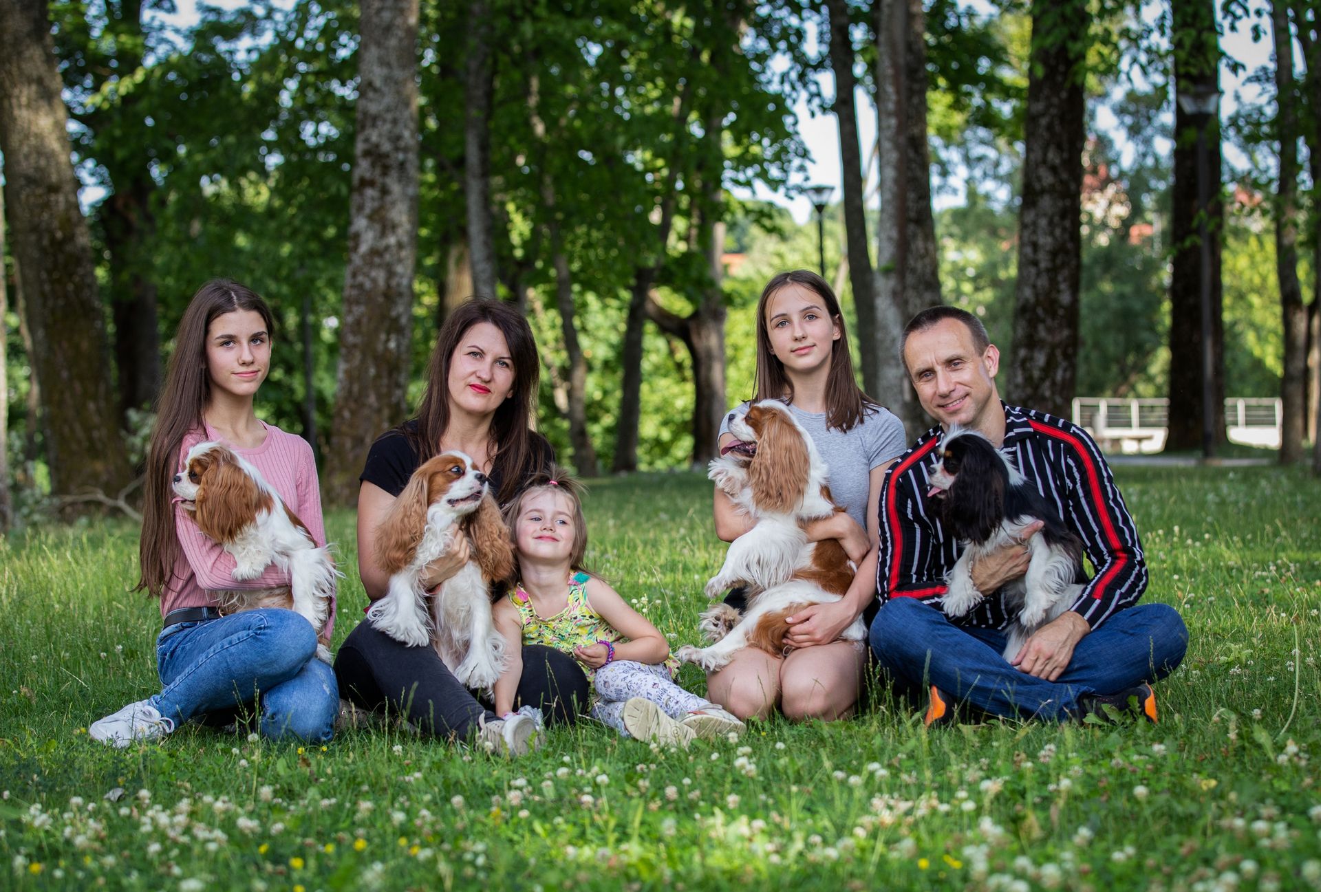 Kavalieriaus Karaliaus Karolio spanielis - ENCIKLOPEDIJA