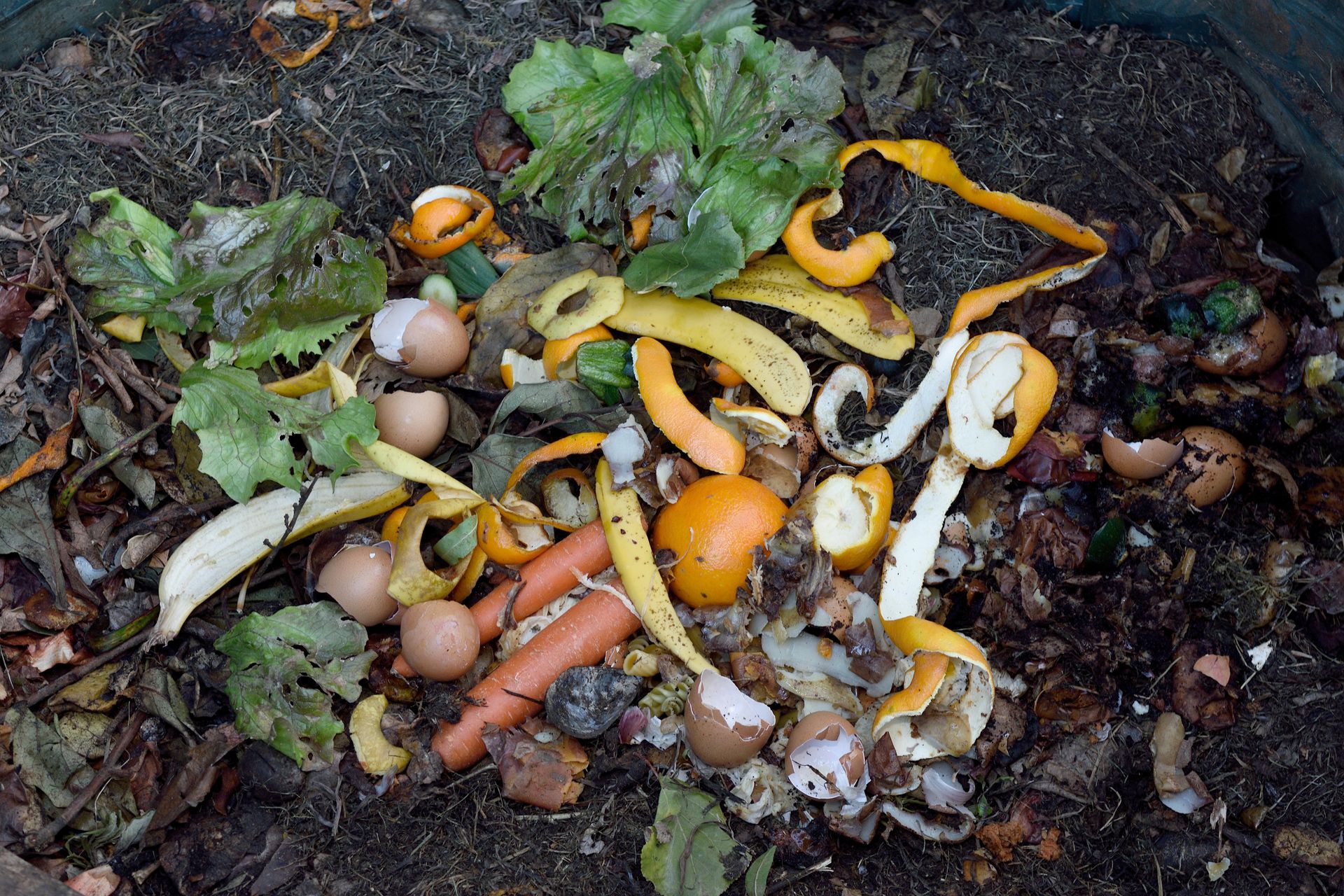 Composting 101: A Beginner's Guide to Turning Waste into Gold
