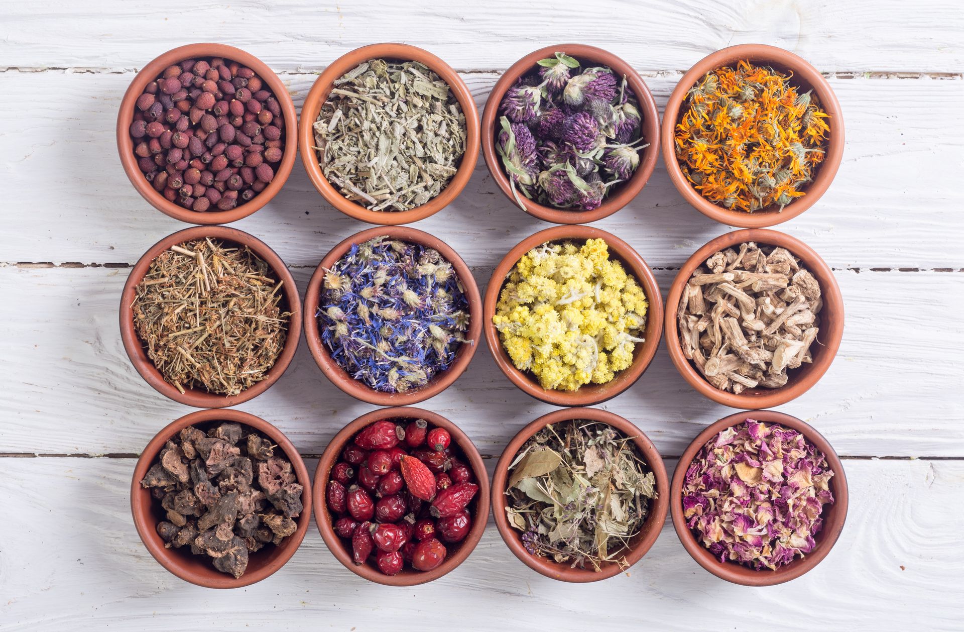The Top 10 Herbal Remedies for Holistic Health