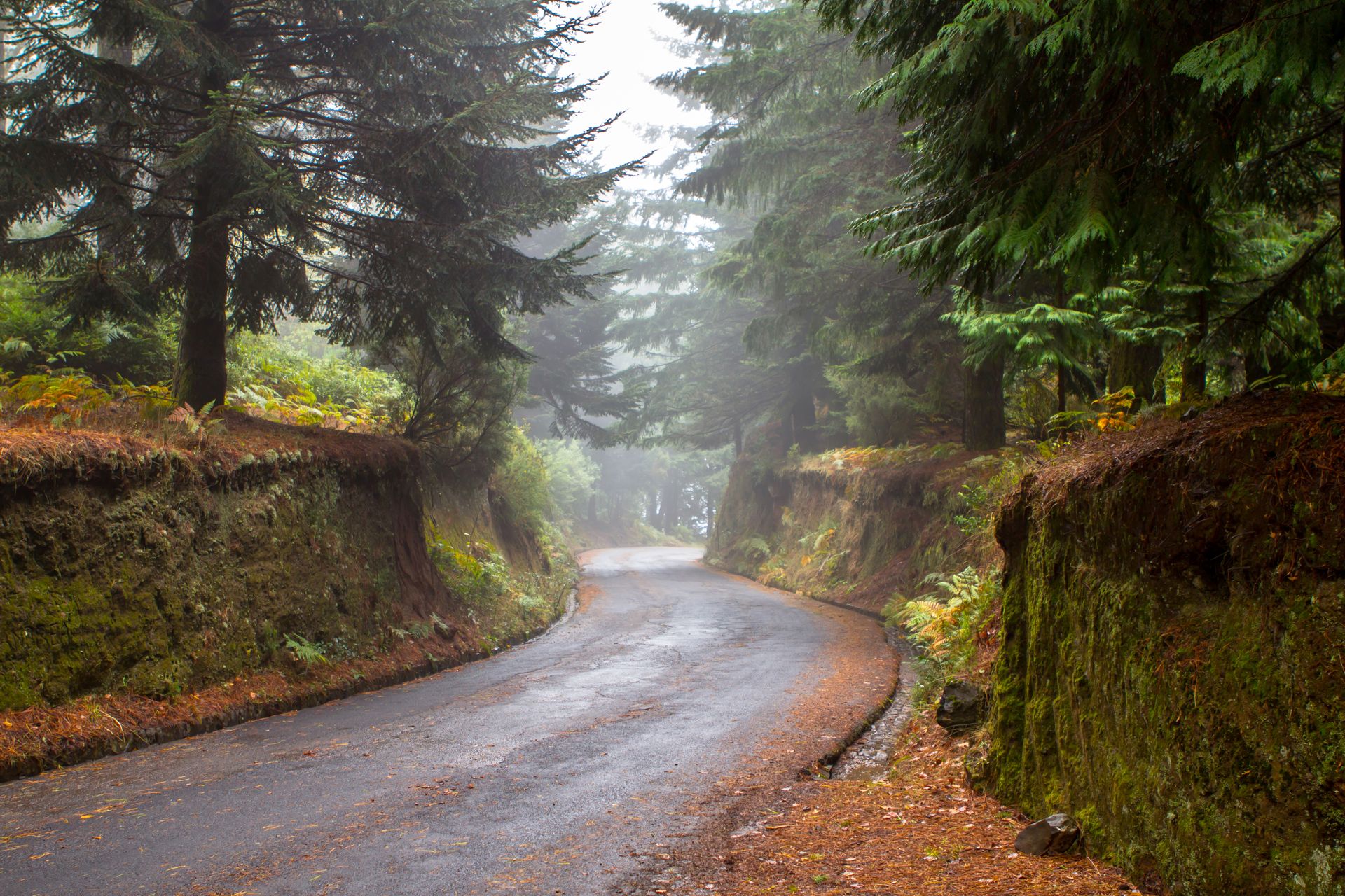 Guide to Drive in Madeira