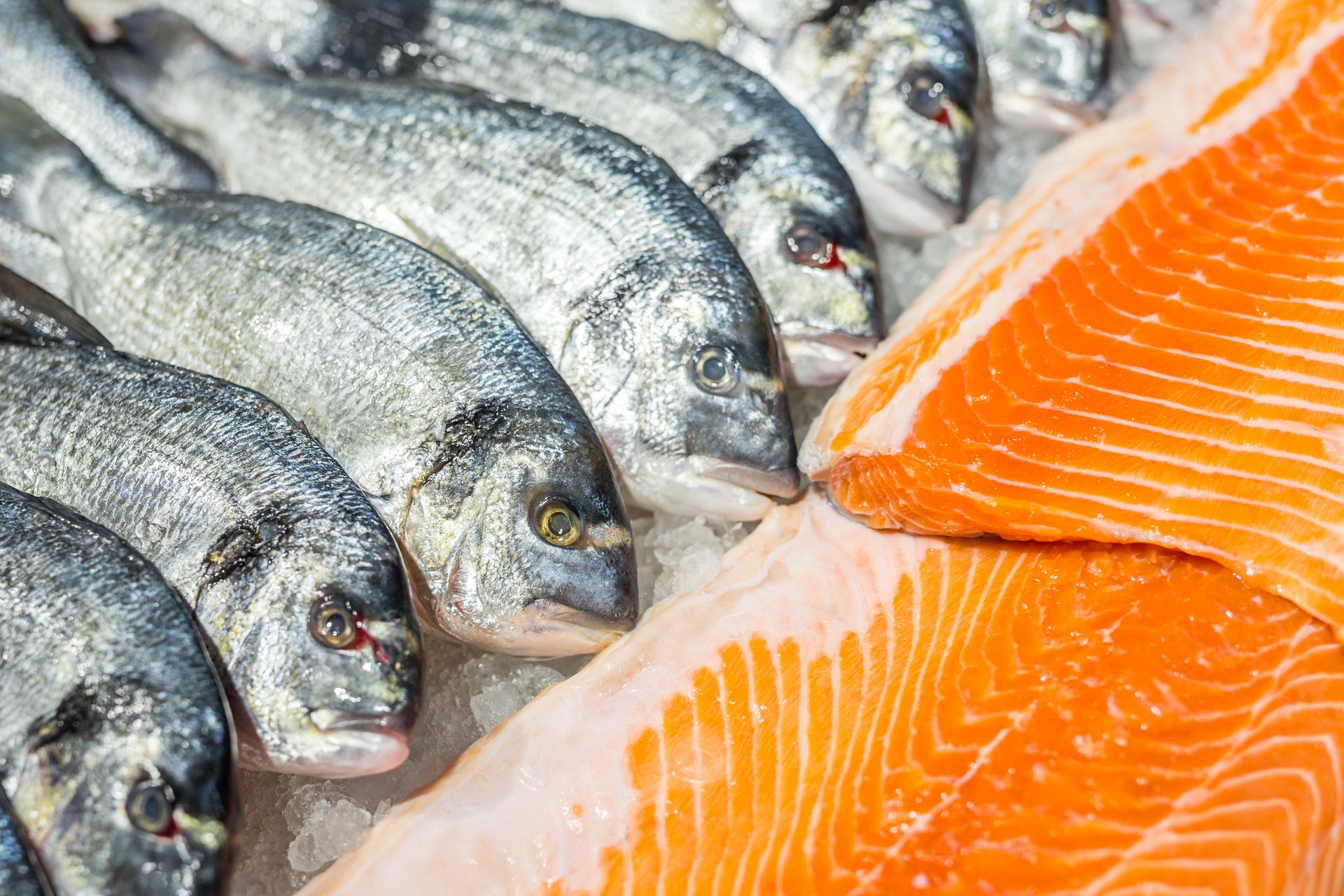 Your Simple Guide to Starting a Pescatarian Diet