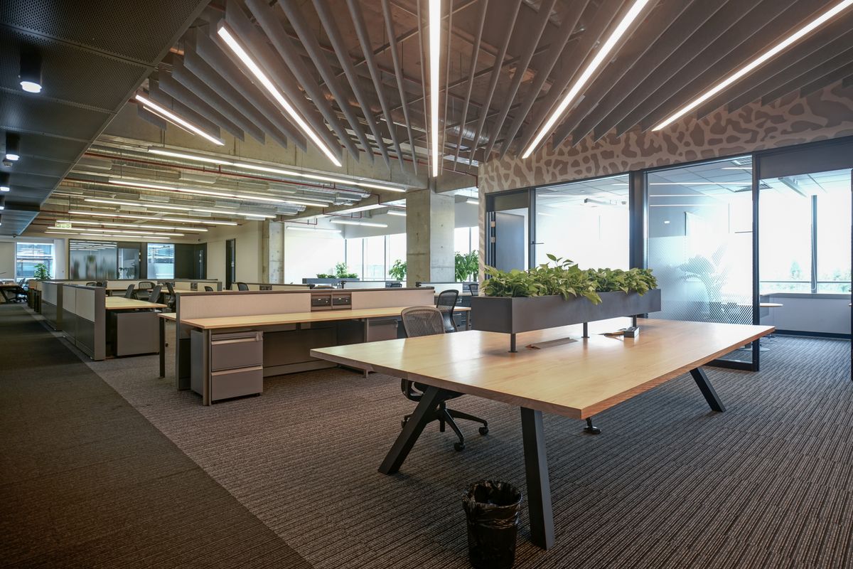 Commercial Office LED Lighting Options